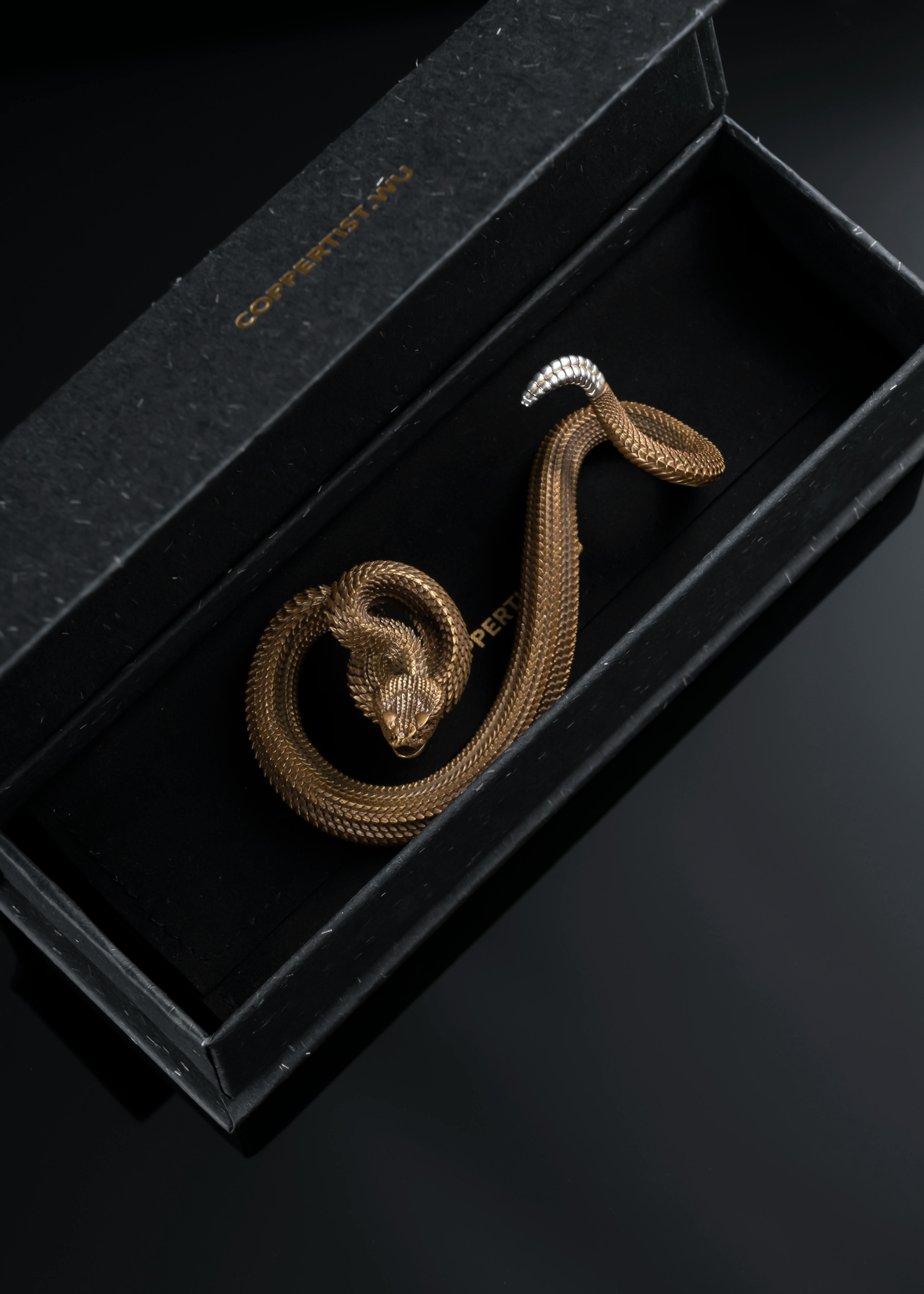Decorative Snake in Box · Free Stock Photo