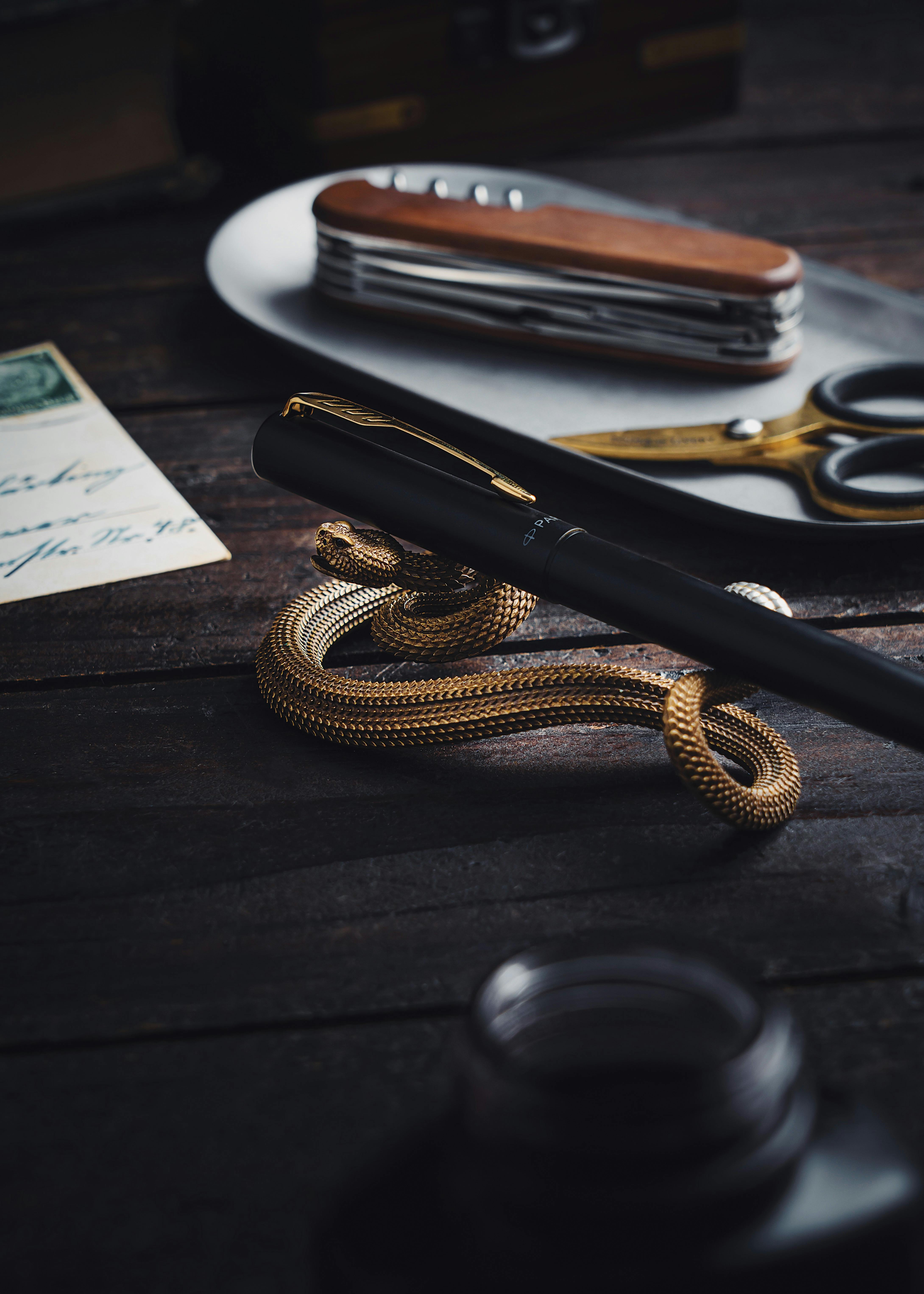Pen on Decorative Snake · Free Stock Photo