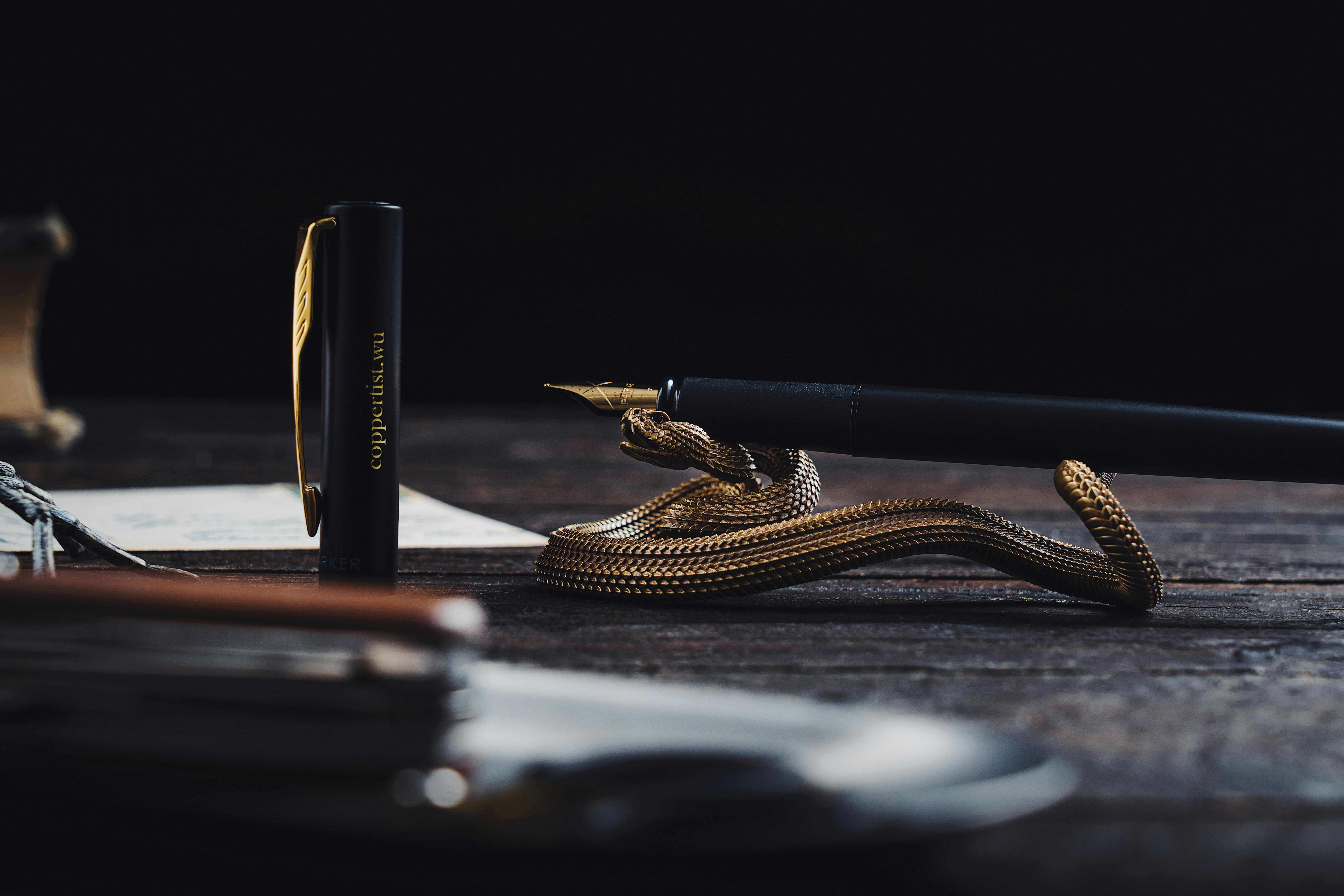 Decorative Snake and Pen · Free Stock Photo