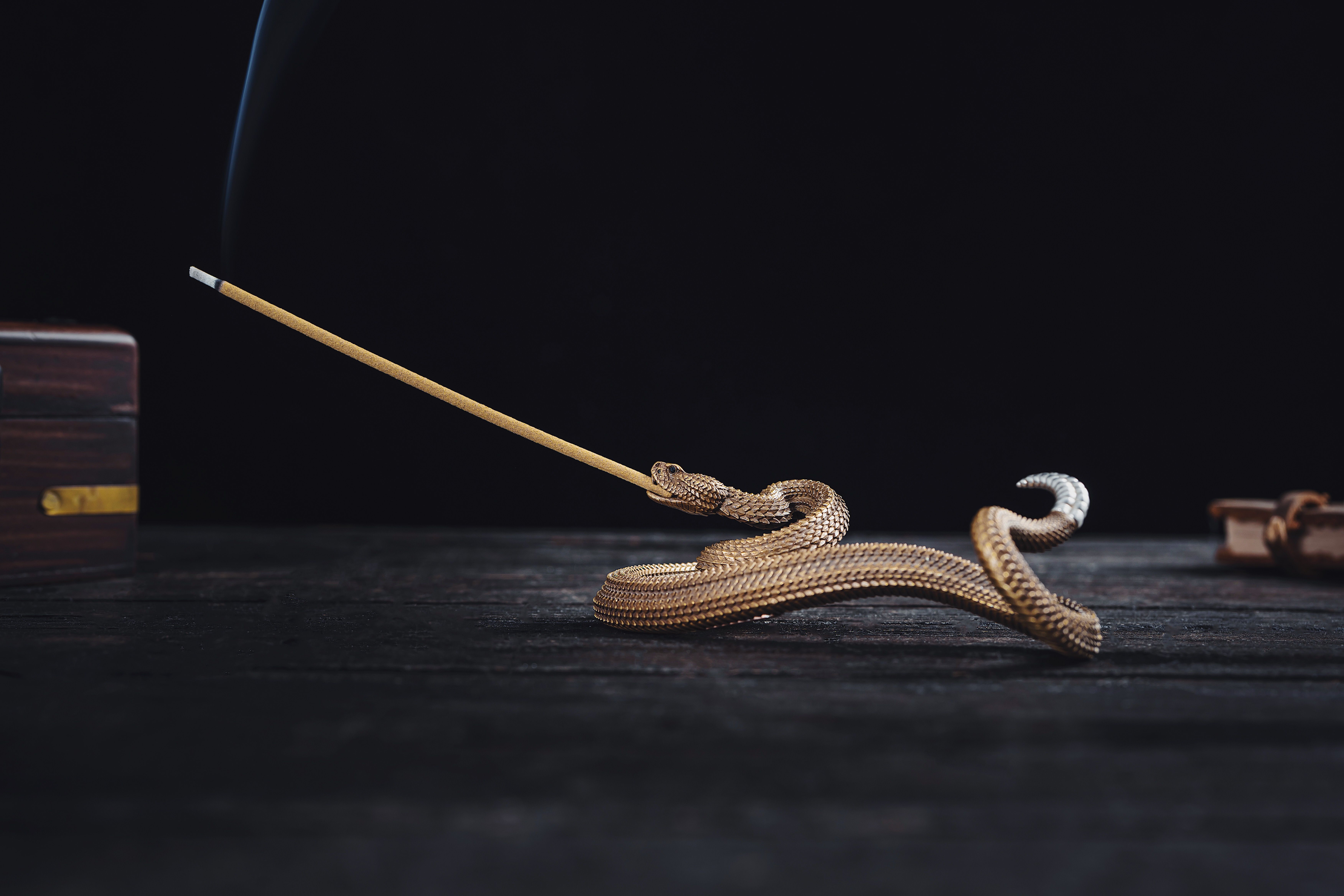 Snake On Stick Photos, Download The BEST Free Snake On Stick Stock ...