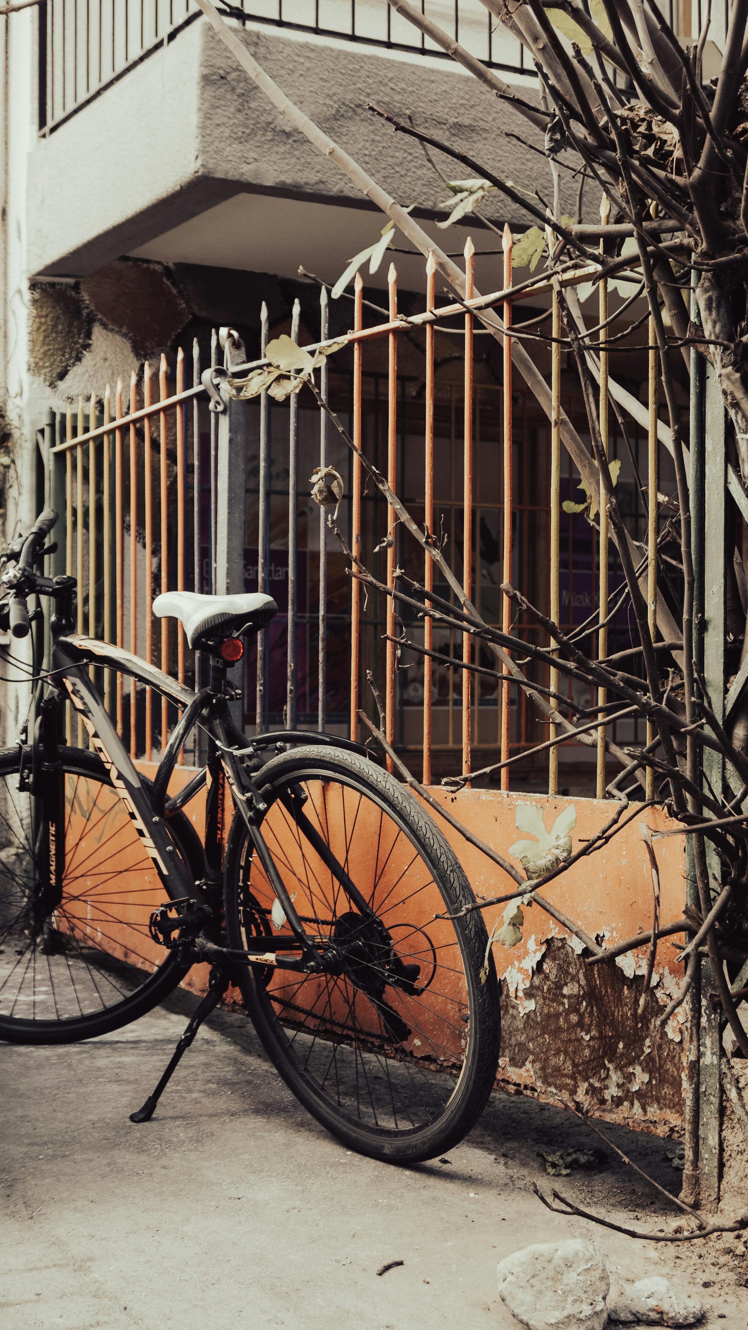 Bicycle Barn Photos, Download The BEST Free Bicycle Barn Stock Photos ...