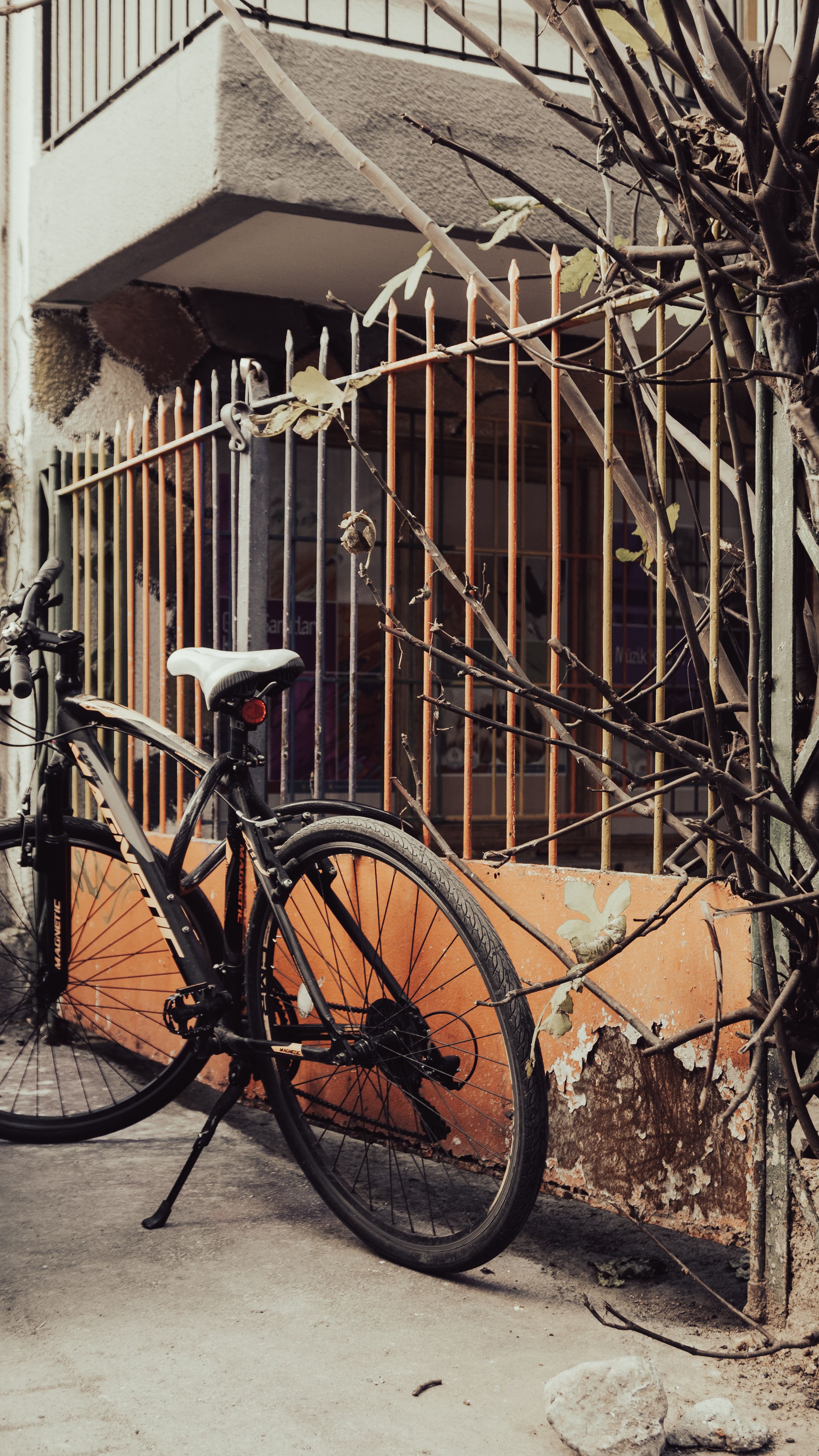 Free Cycle Seat Photos, Download The BEST Free Free Cycle Seat Stock ...