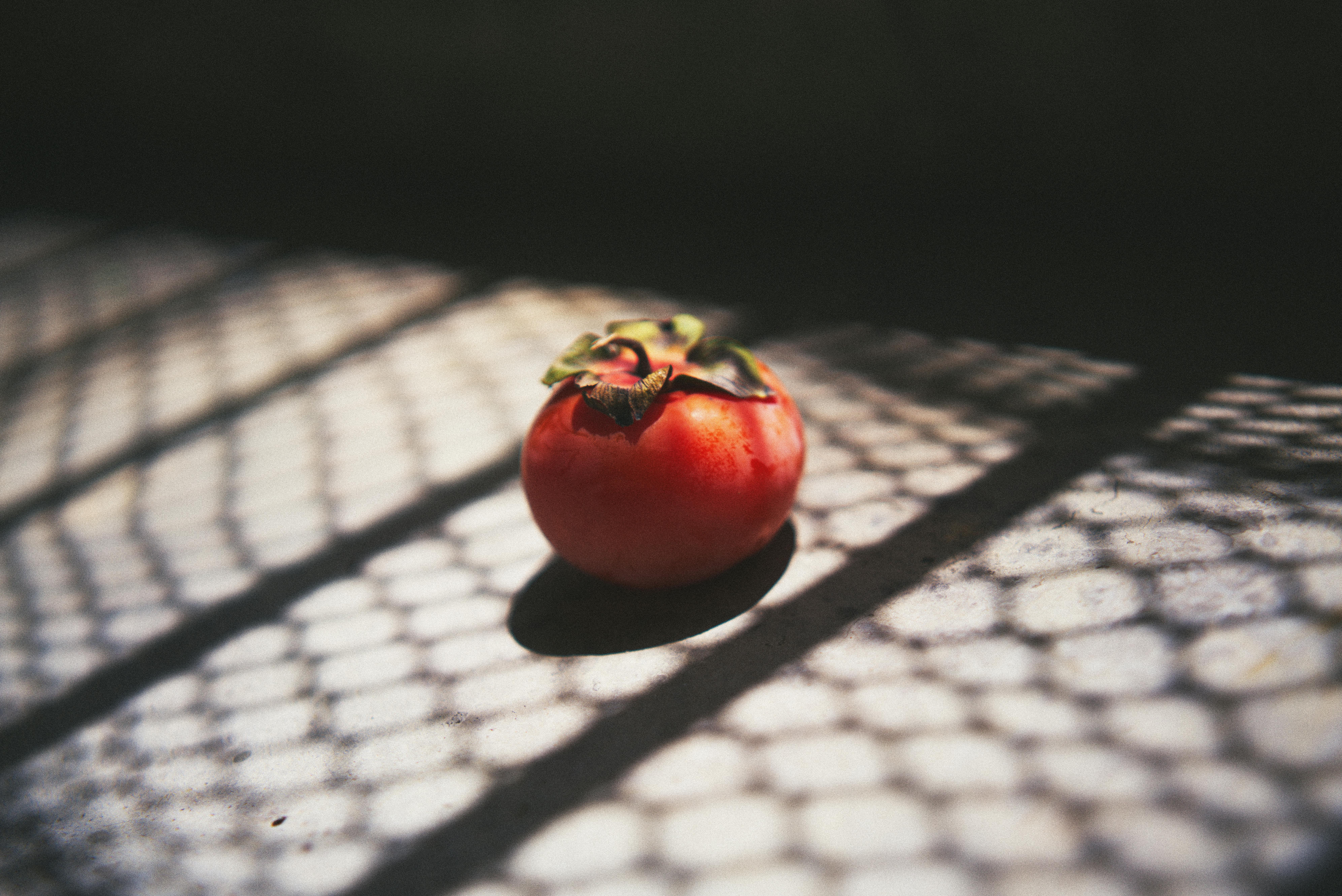 Shadow of a Fence Cast on a Persimmon Fruit · Free Stock Photo