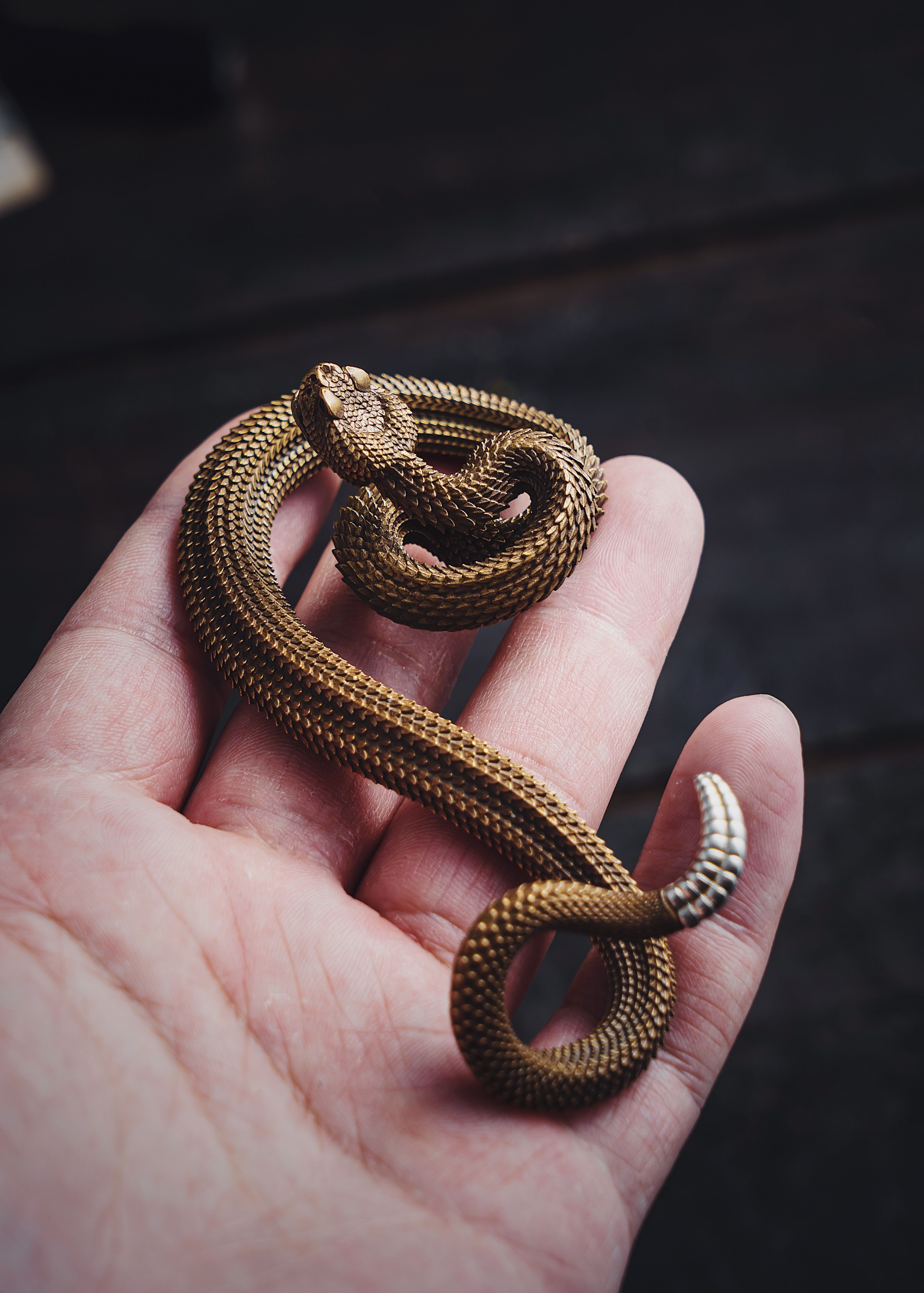 Brass Holder in Shape of Snake · Free Stock Photo