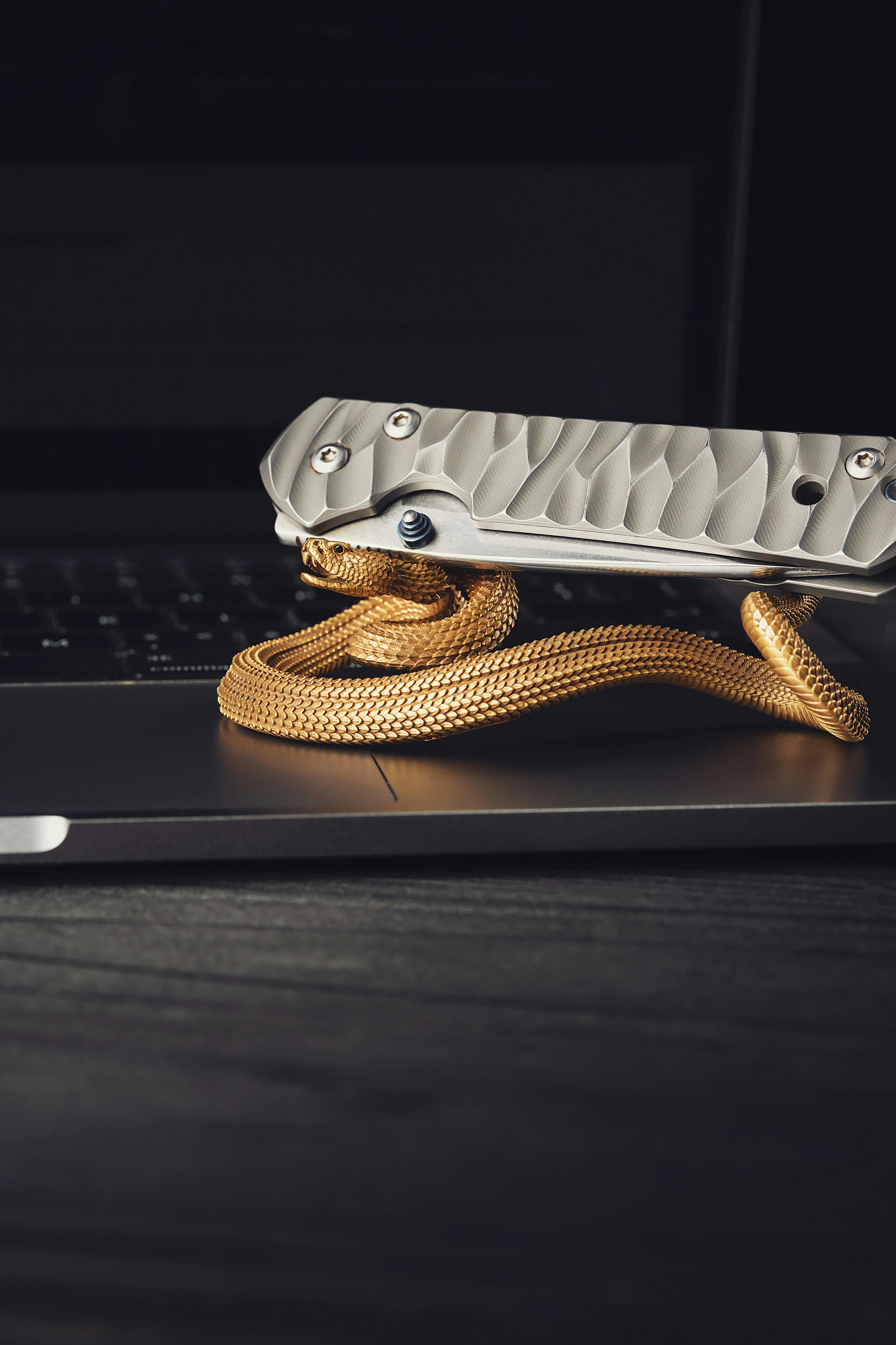 Snake Figurine on Laptop with Knife · Free Stock Photo