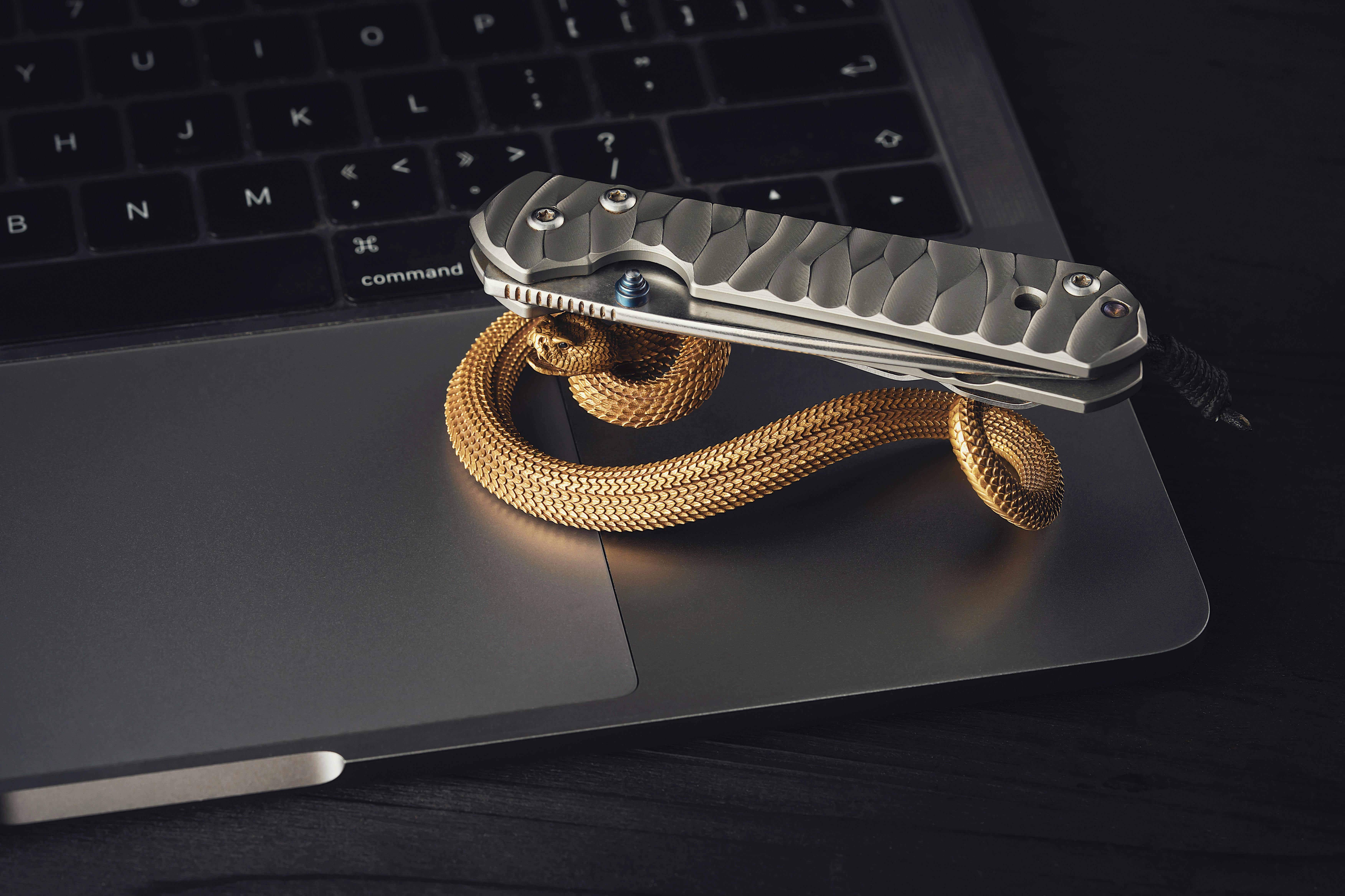 Snake Figurine with Knife on Laptop · Free Stock Photo