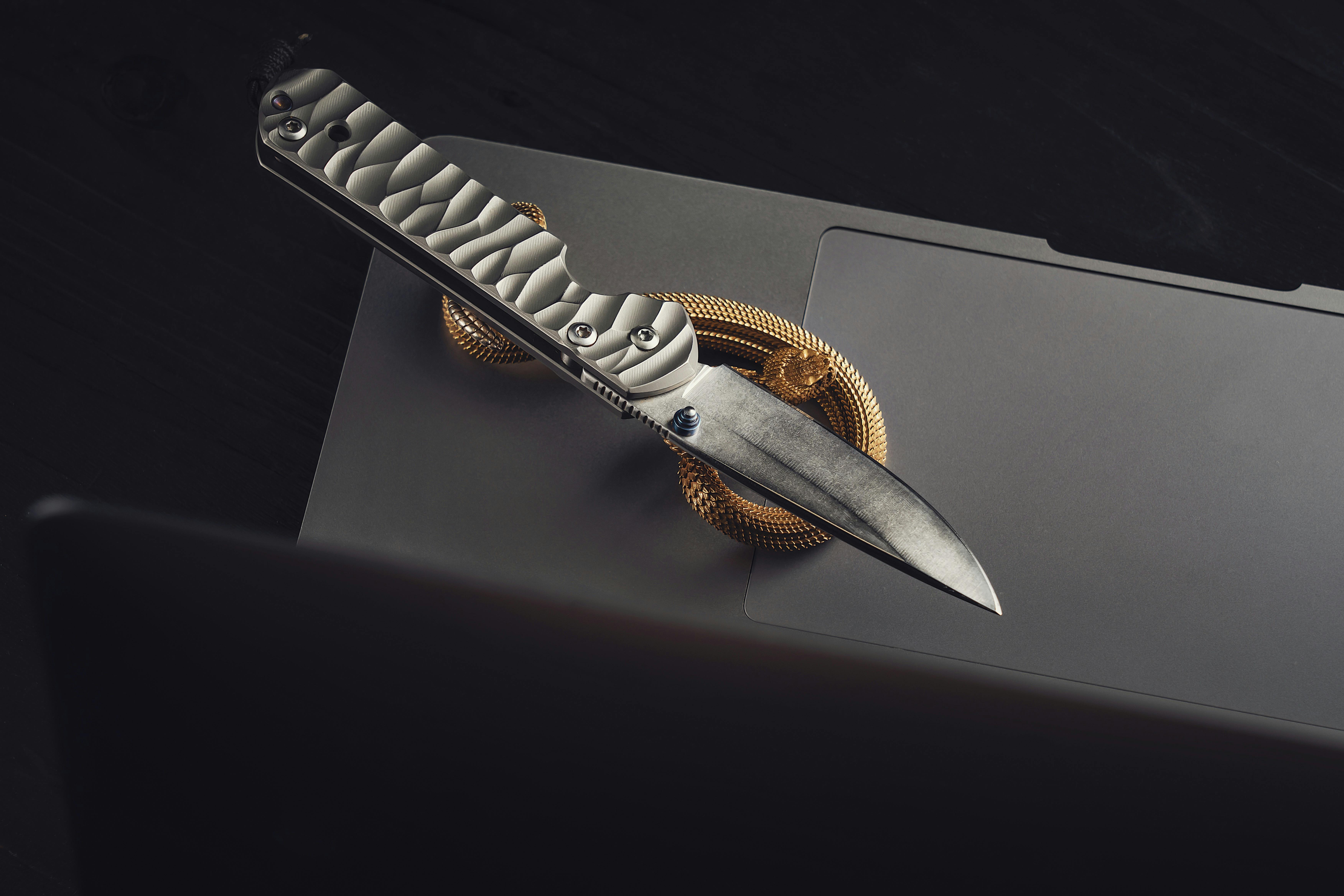 Snake Figurine with Knife on Laptop · Free Stock Photo