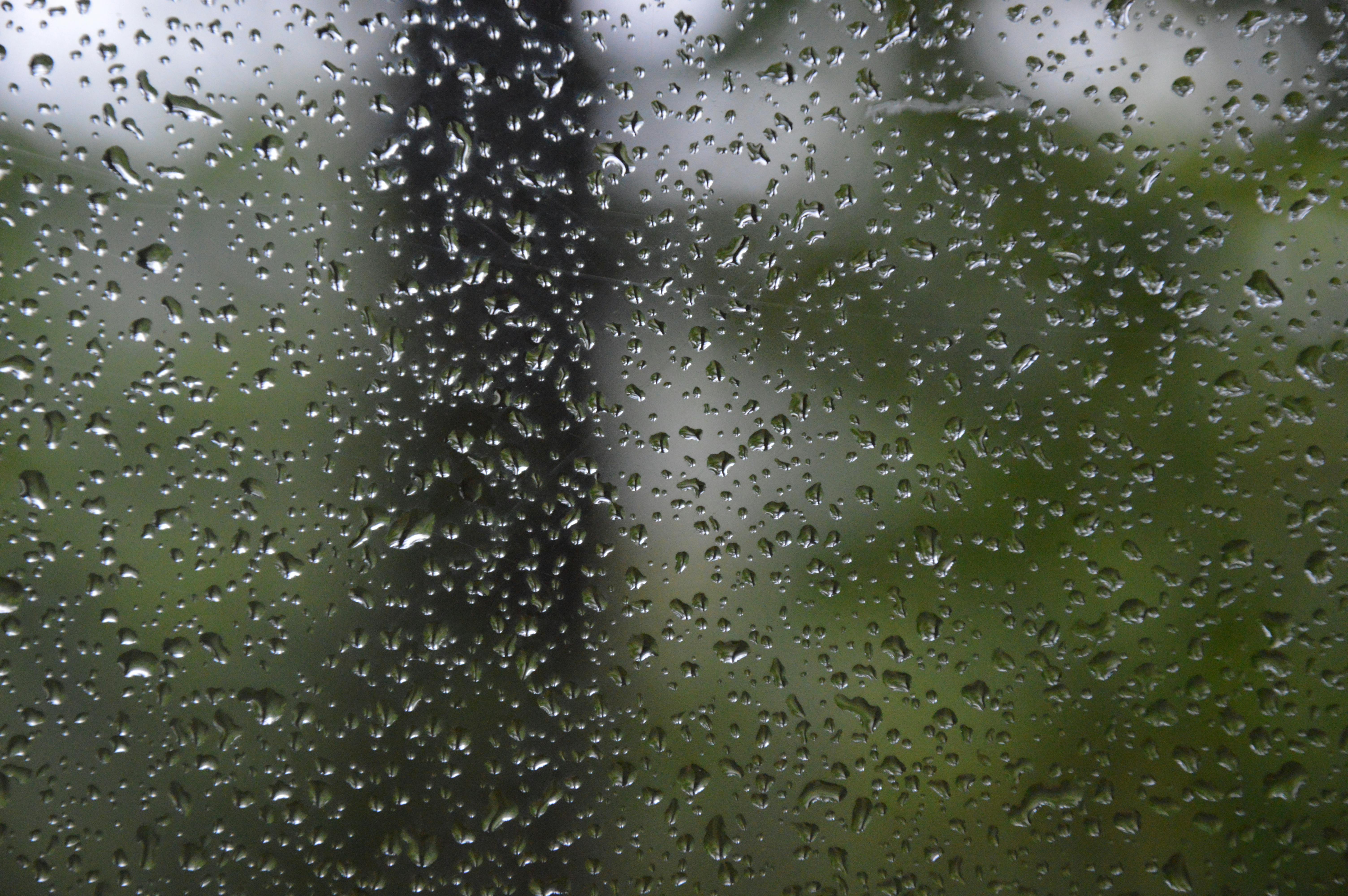 Close-up of a Wet Window · Free Stock Photo