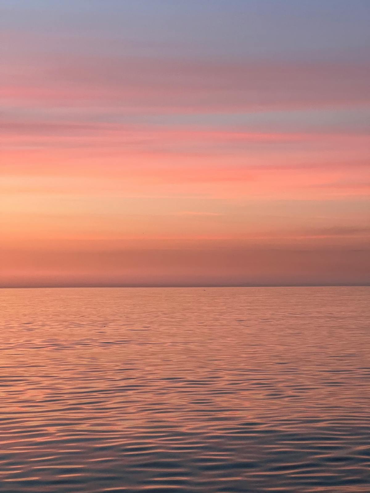 70,000+ Best Lockscreen Wallpaper Photos · 100% Free Download · Pexels ...