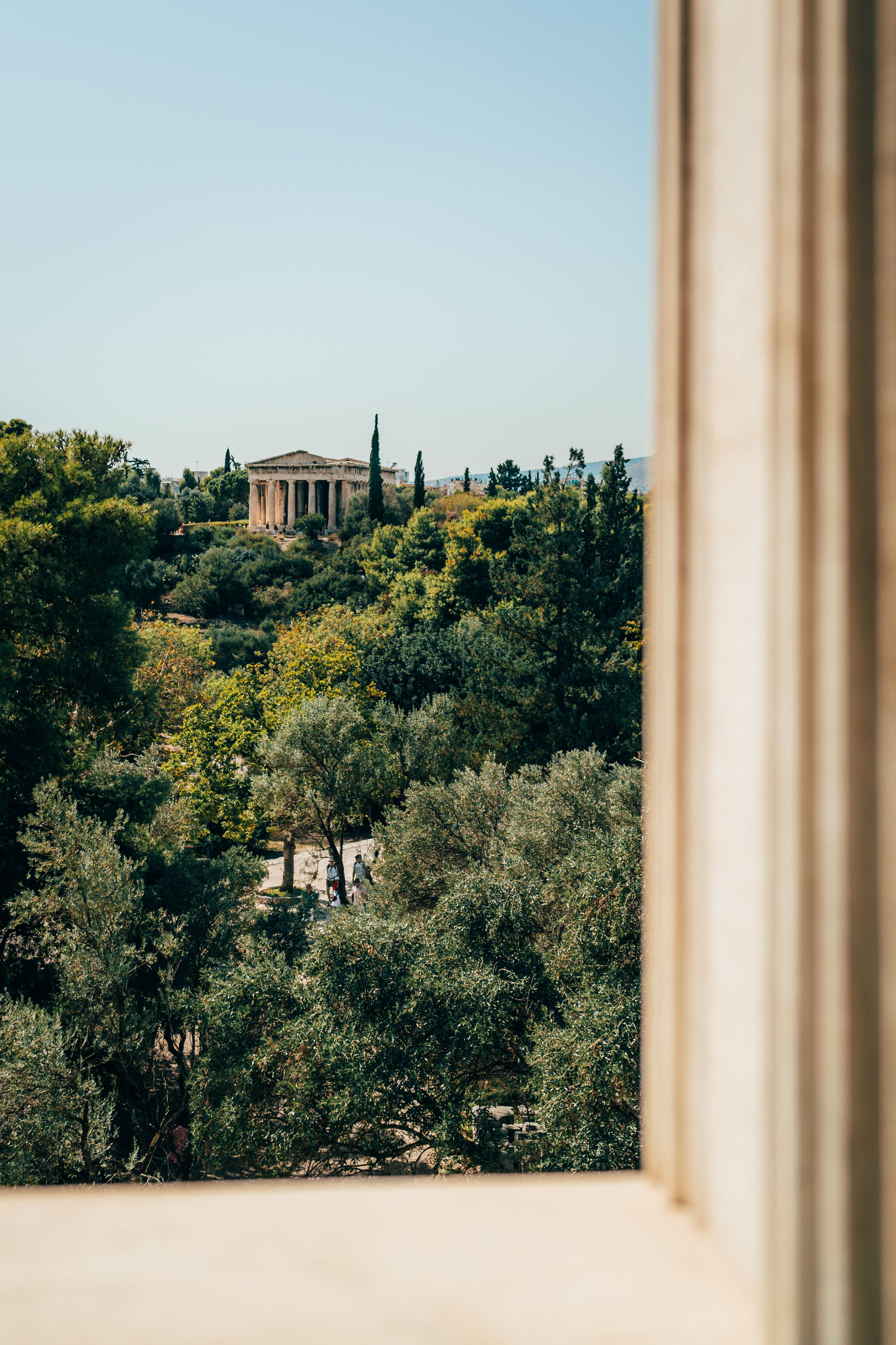 Olive Trees Photos, Download The BEST Free Olive Trees Stock Photos ...