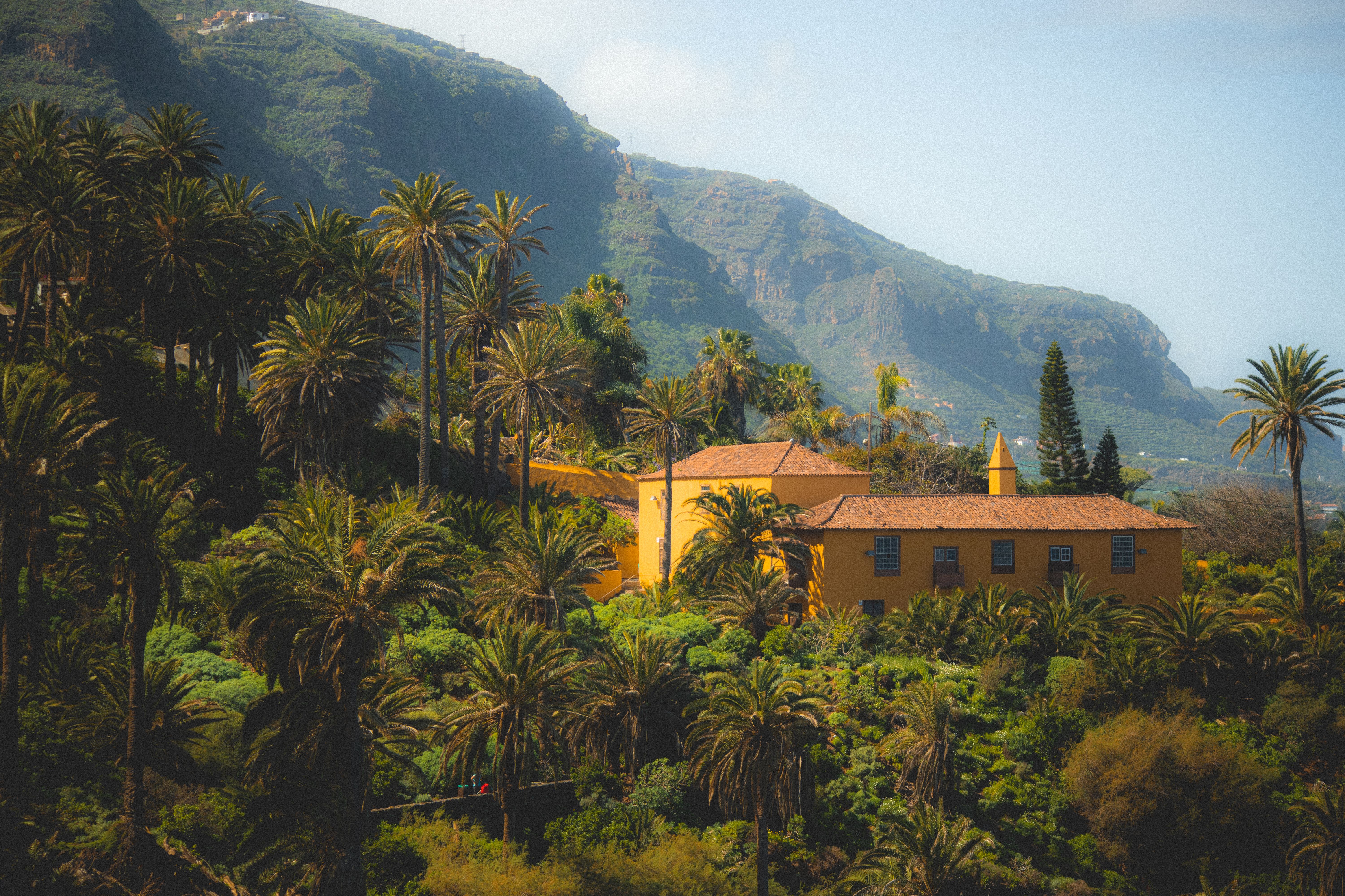 View of a Building between Palm Trees on the Coast in Los Realejos ...