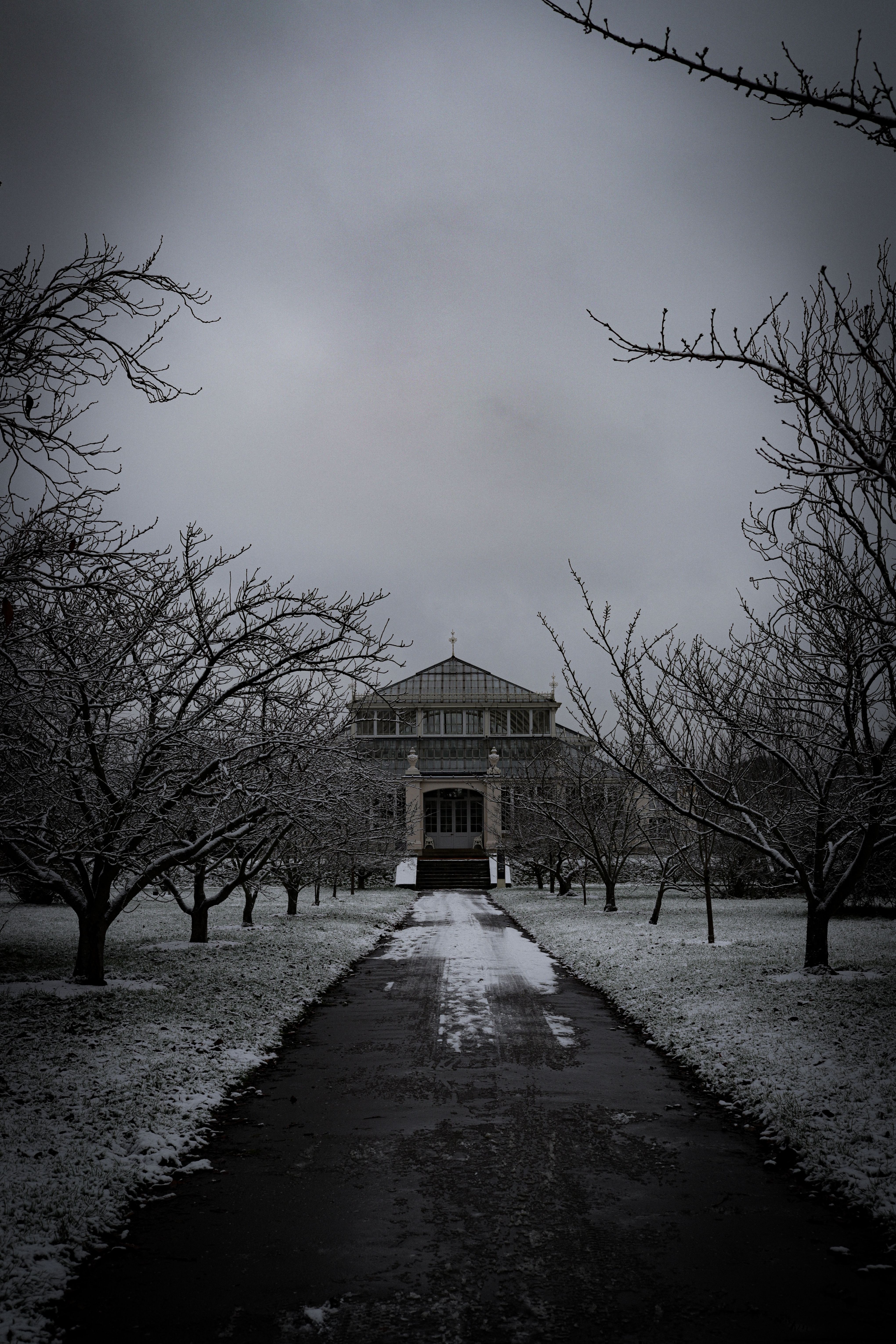 A snowy path leads to a building with trees · Free Stock Photo