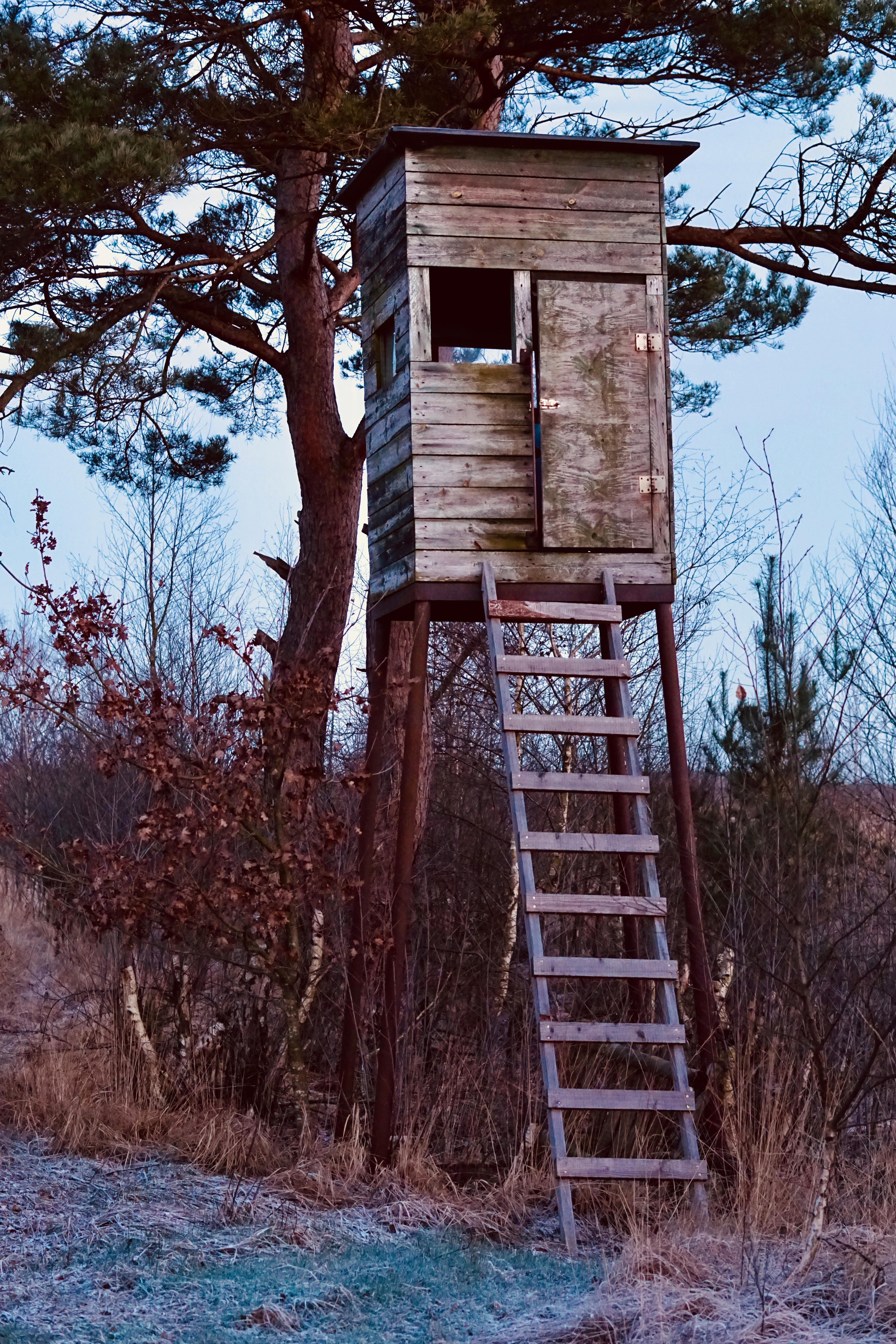 Elevated Hunting Blind · Free Stock Photo