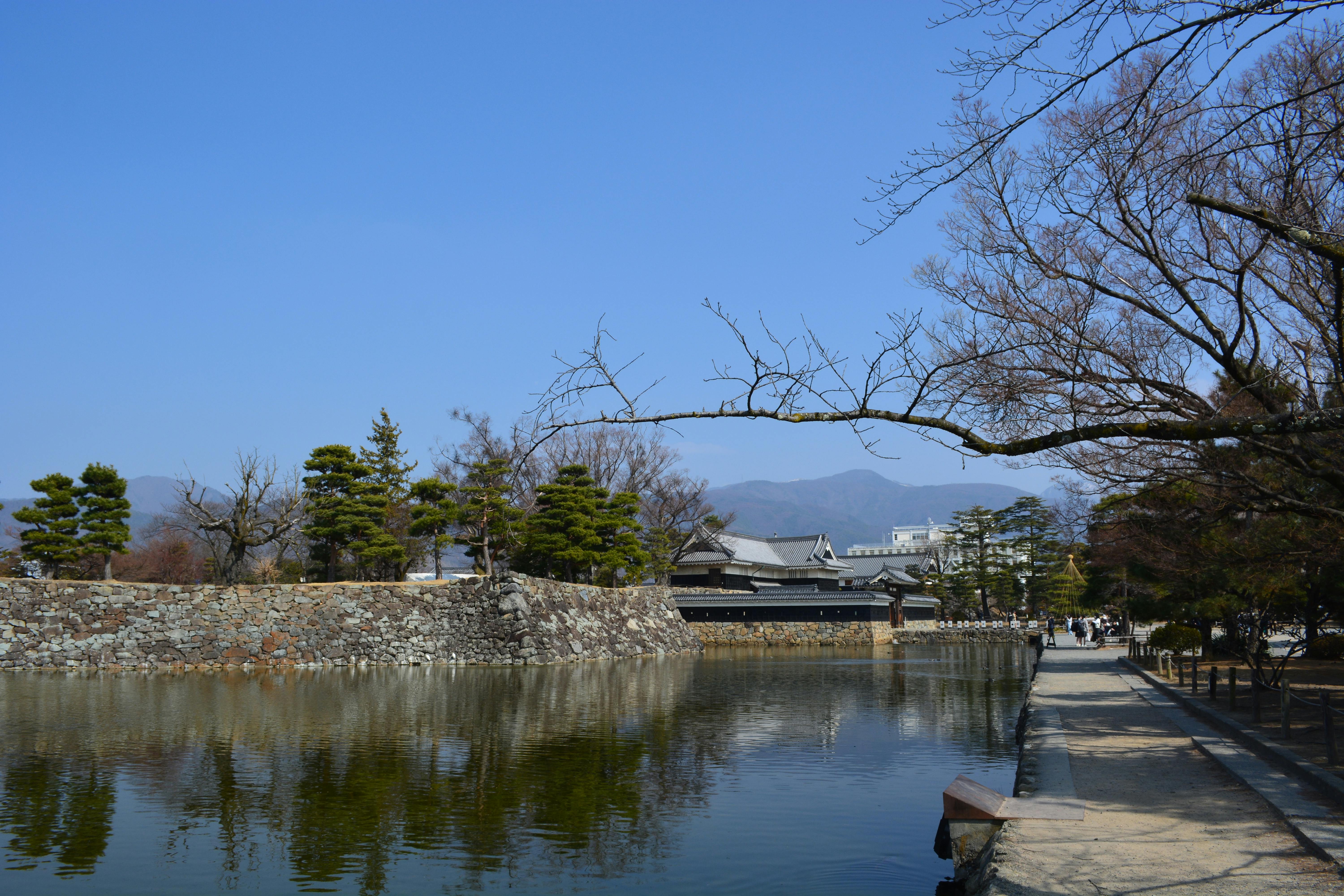 Park near Matsumoto Castle in Japan · Free Stock Photo