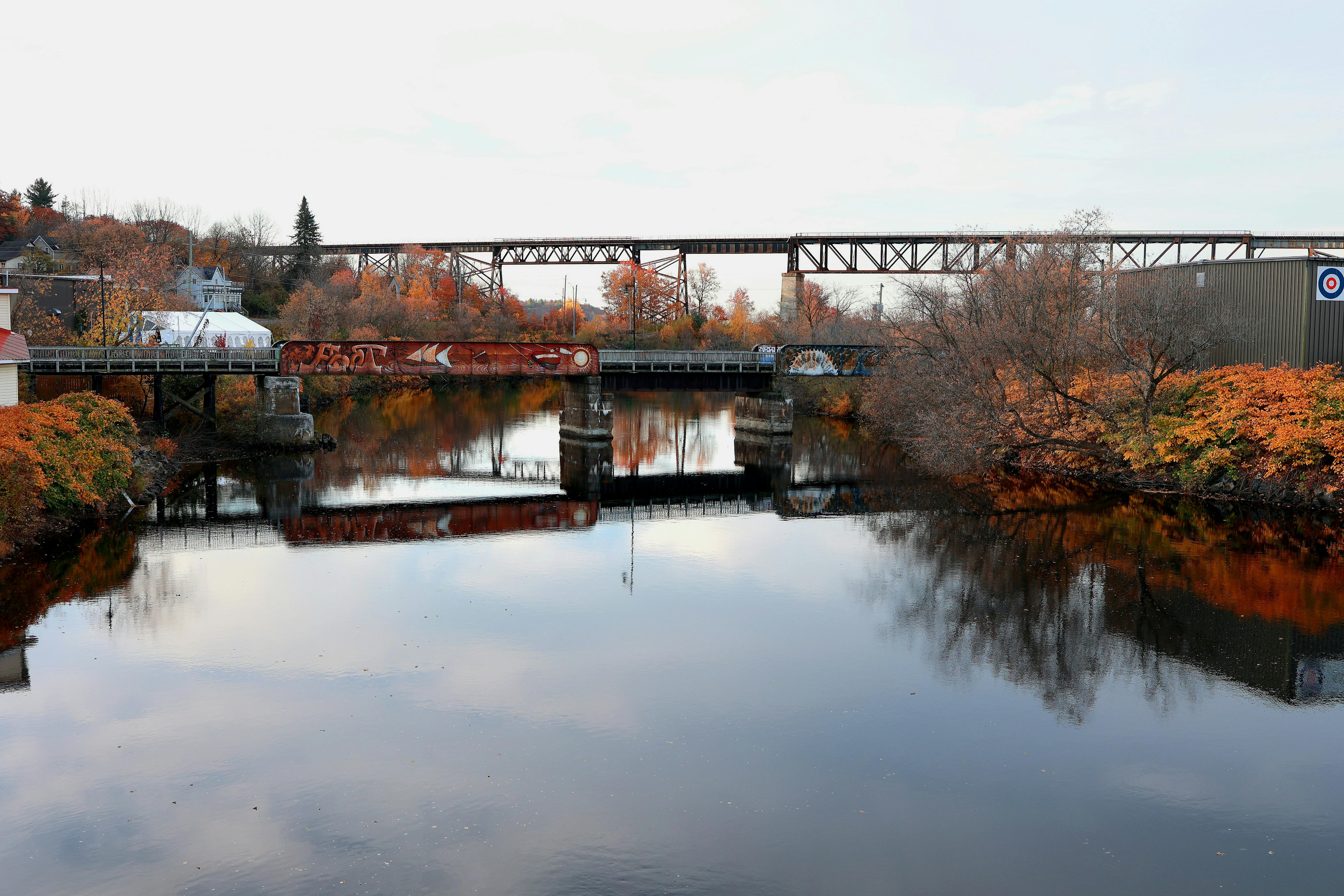 Seguin River in Autumn with Bridges in the Background · Free Stock Photo