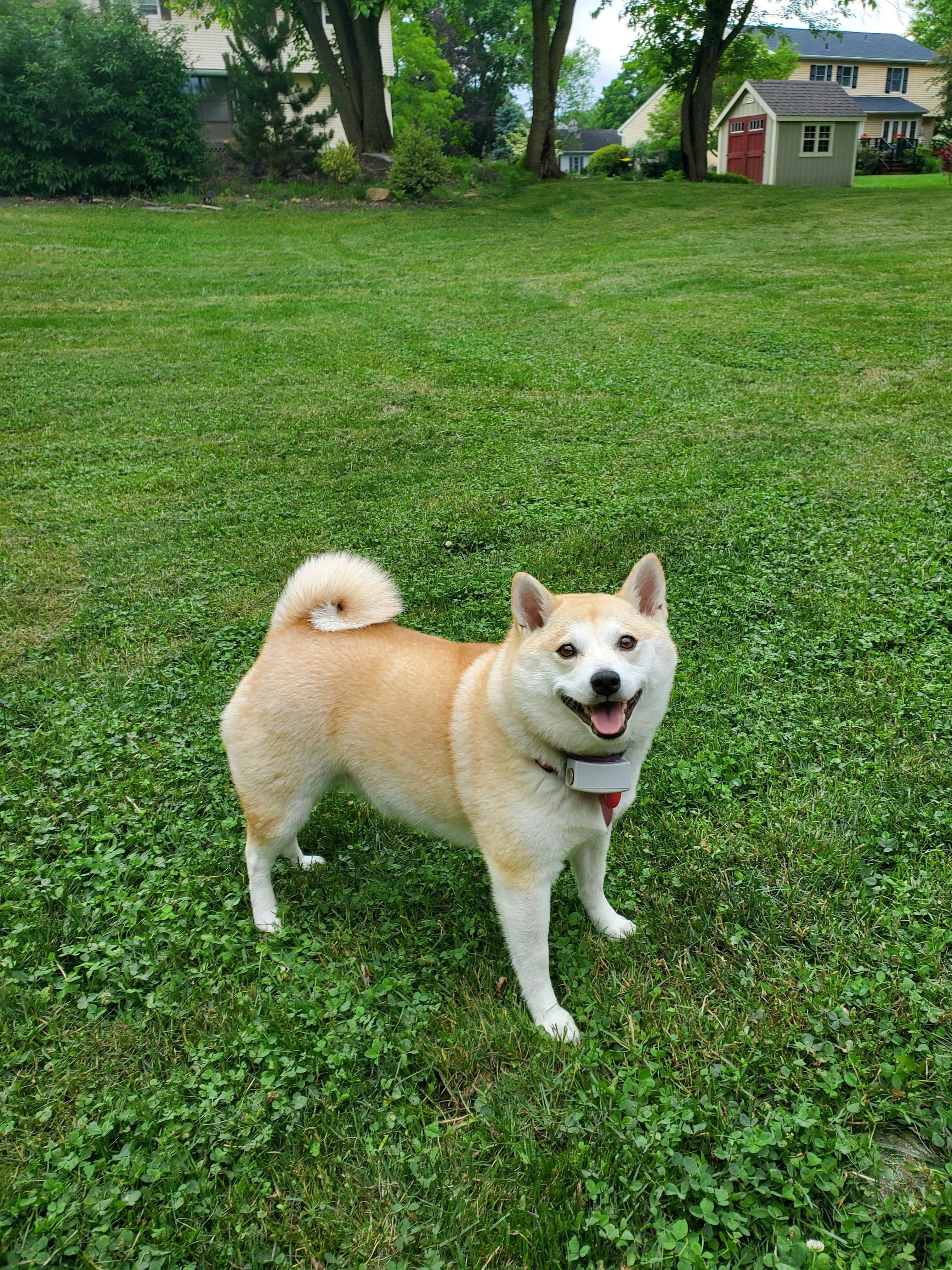 Ryan Furst - Photography