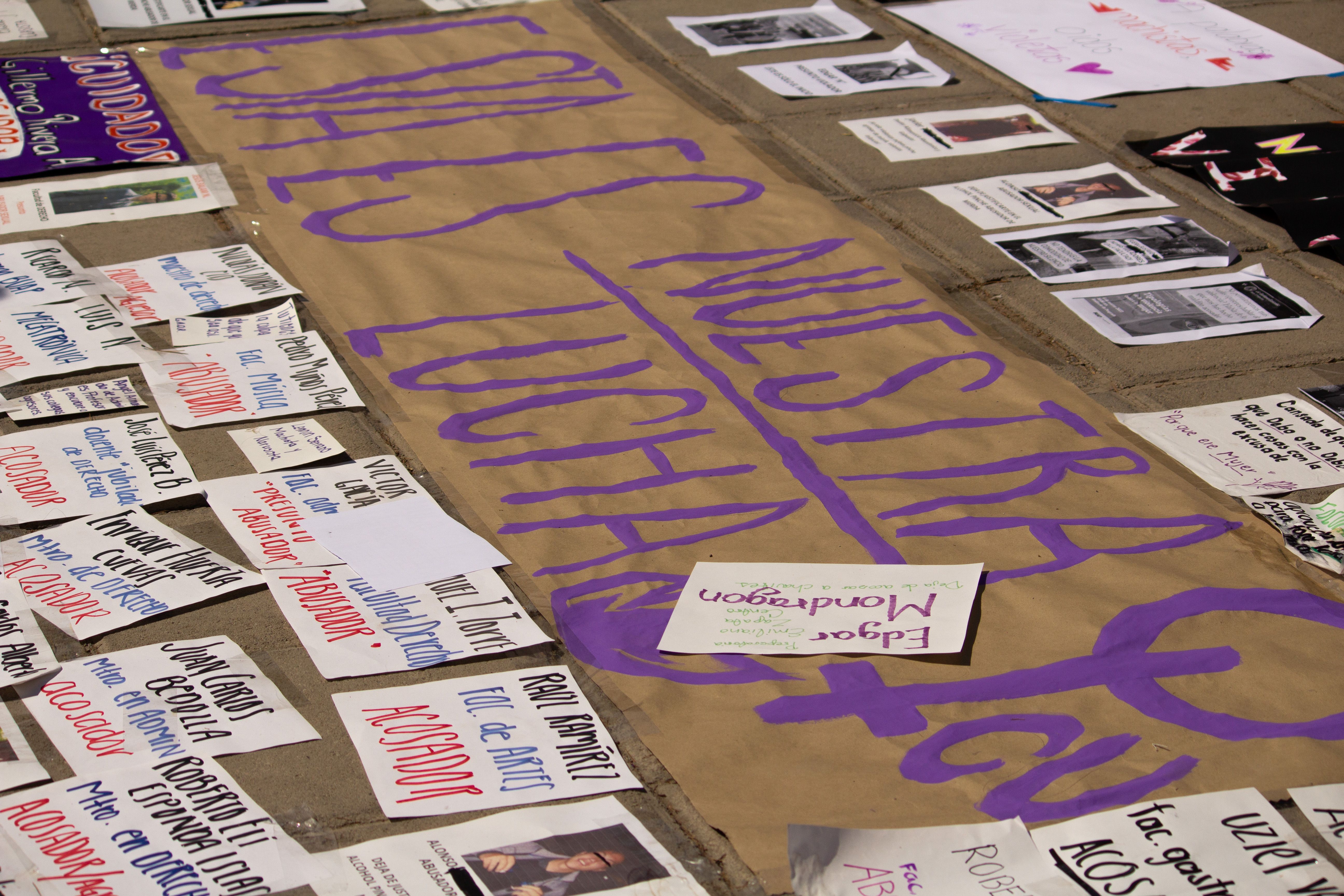 Close-up of Signs Lying on the Ground at a Protest · Free Stock Photo