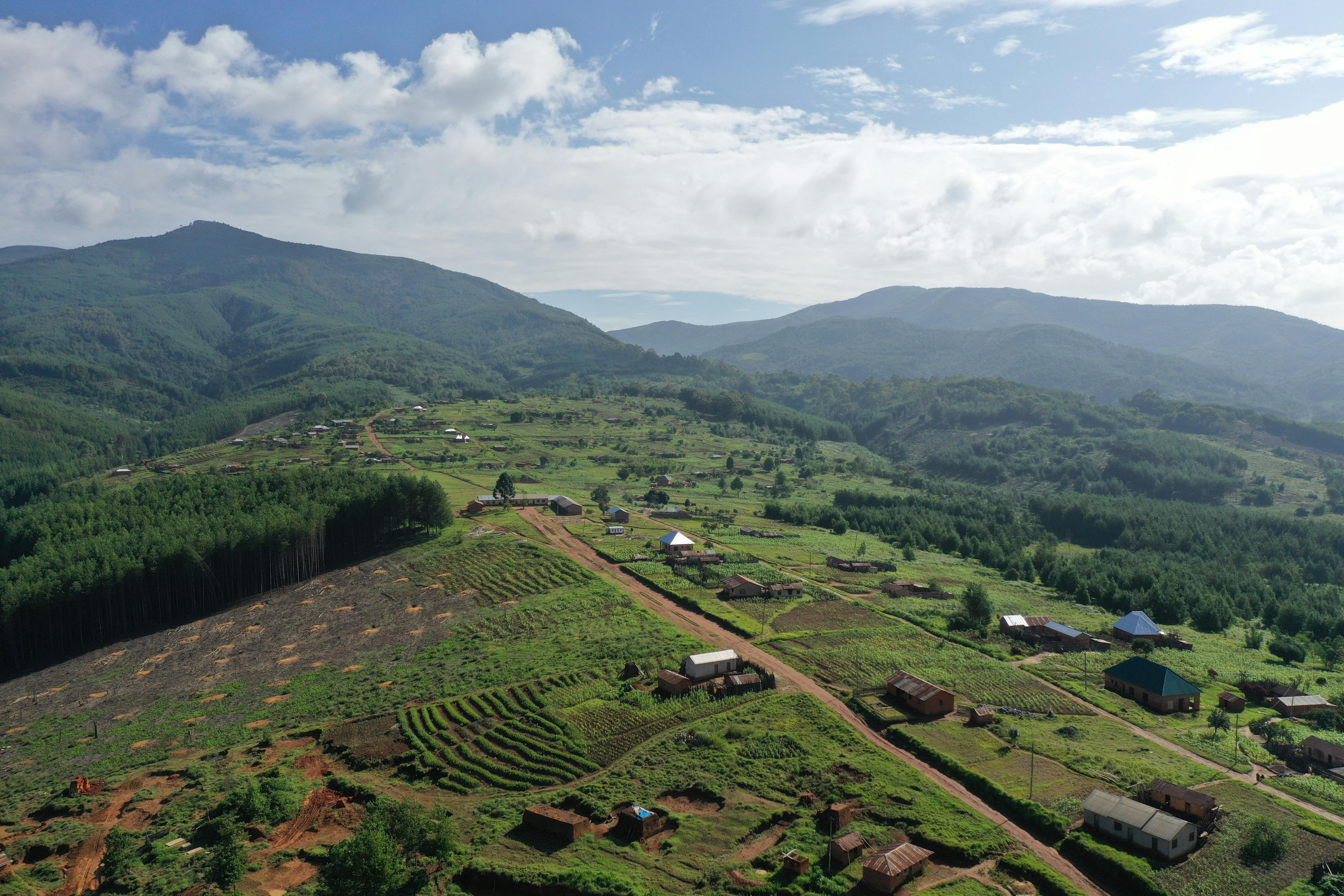 Rural Green Landscape · Free Stock Photo