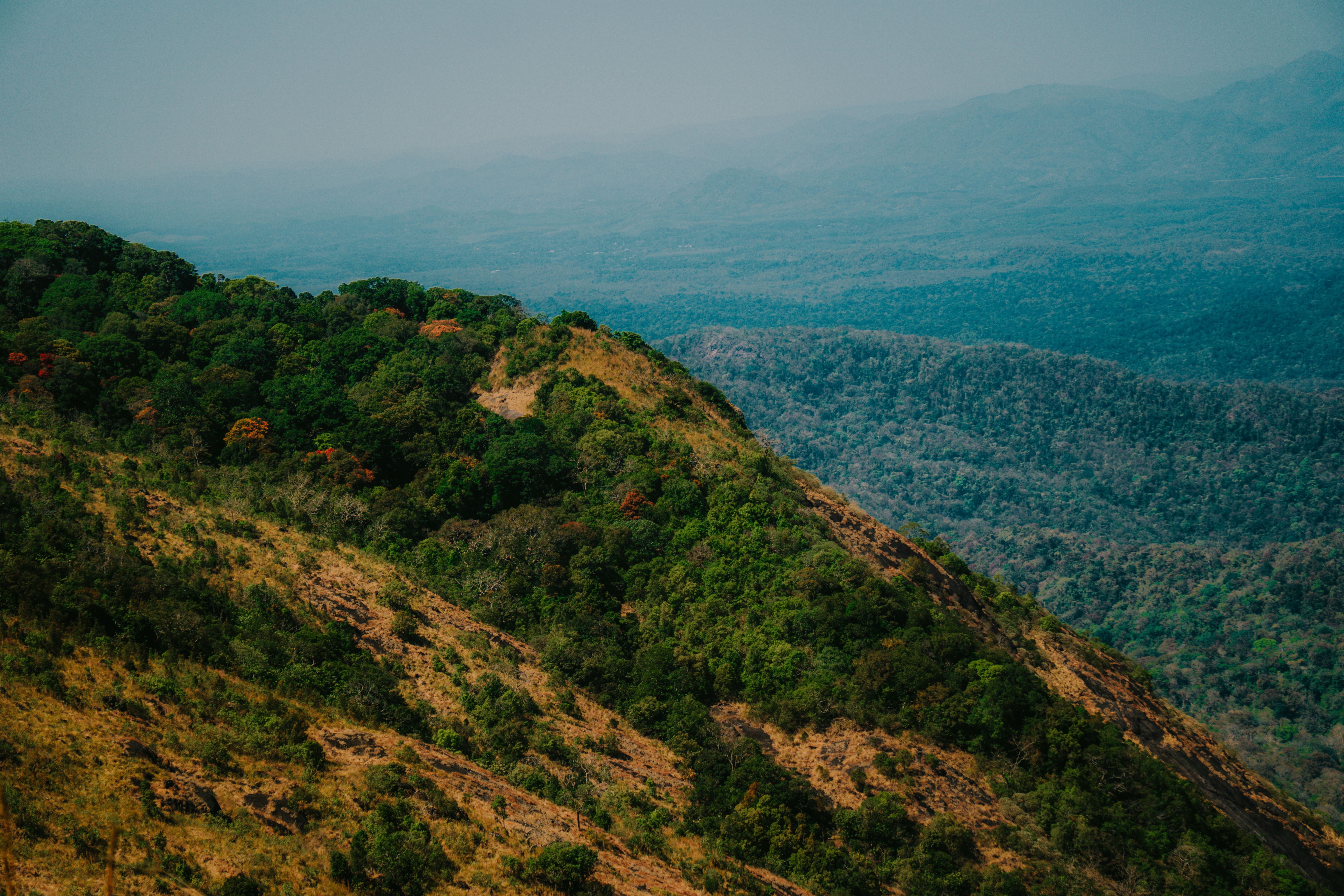 Aerial View of Foliage Growing on Mountain Side · Free Stock Photo