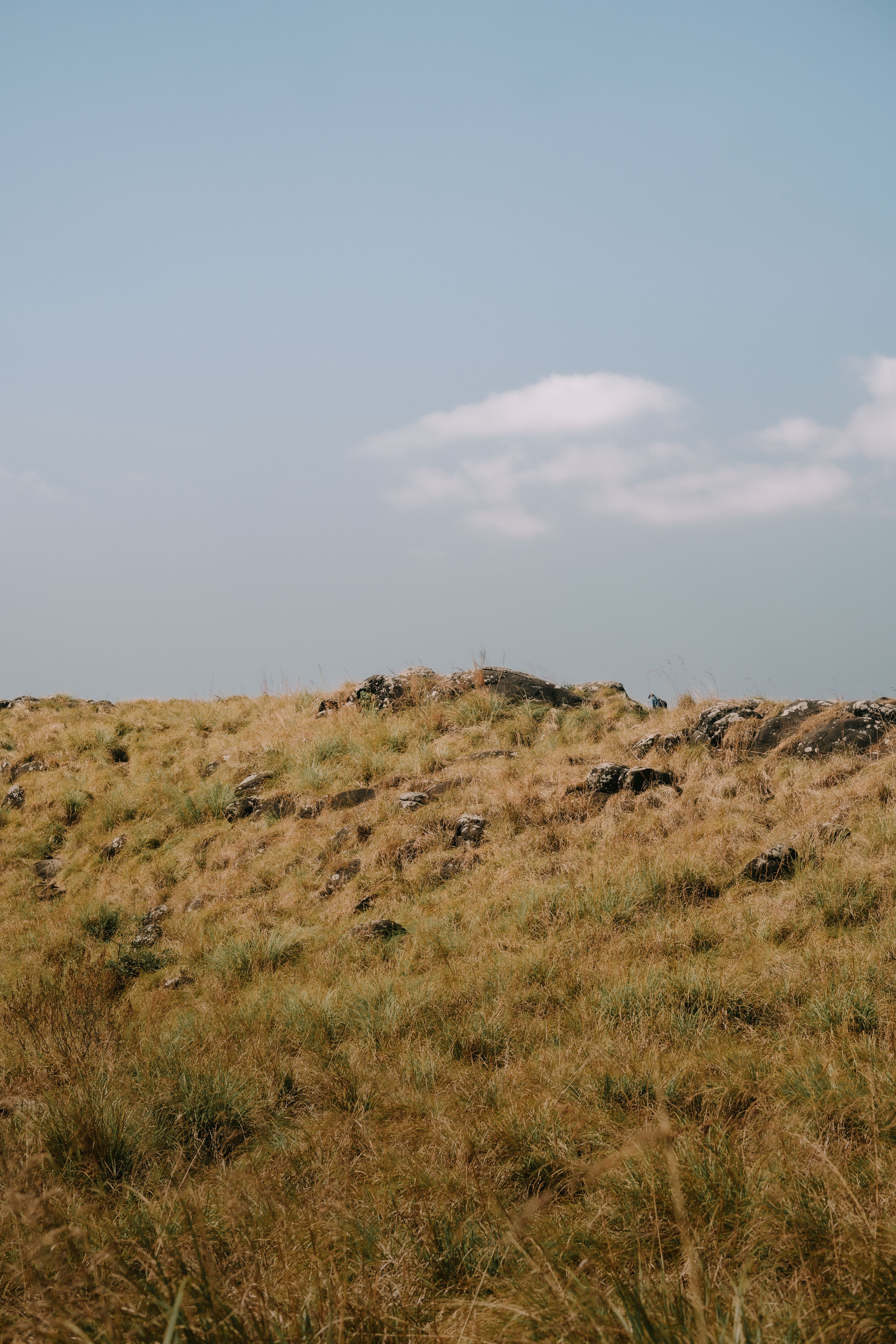 Grass Field on Mountain Peak · Free Stock Photo