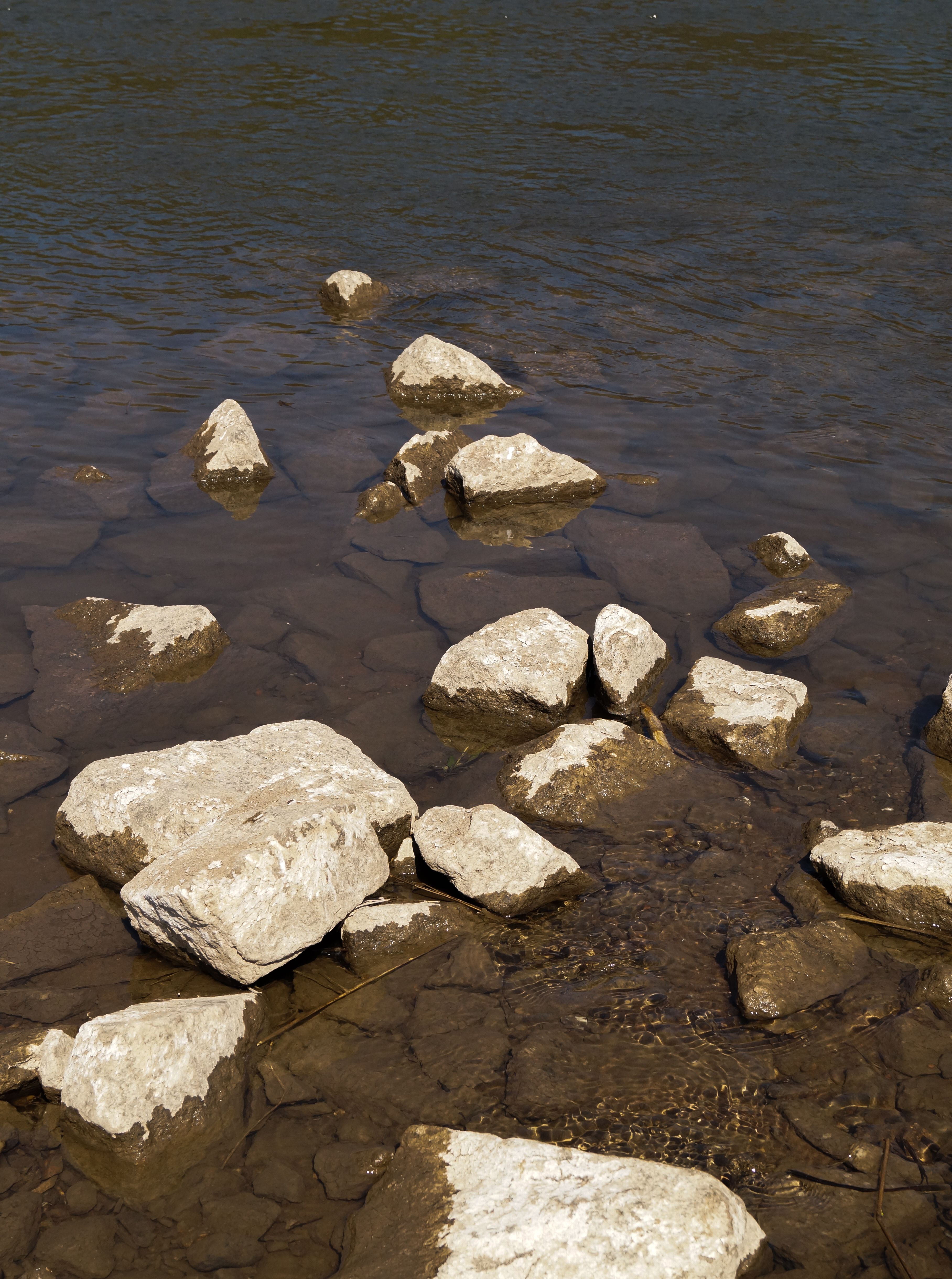 Boulder on Shore · Free Stock Photo