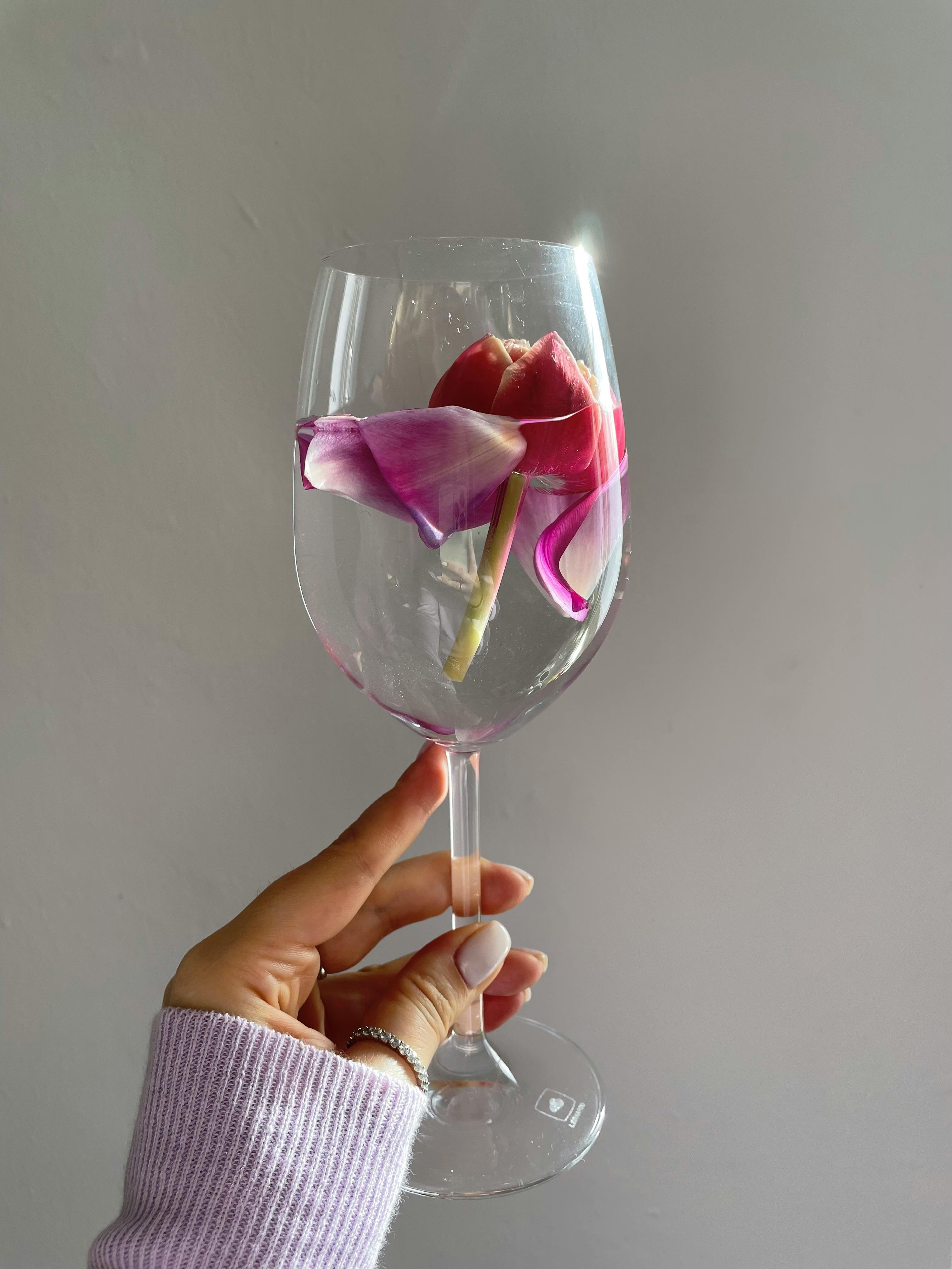 Woman Holding a Wineglass with a Purple Flower Inside · Free Stock Photo