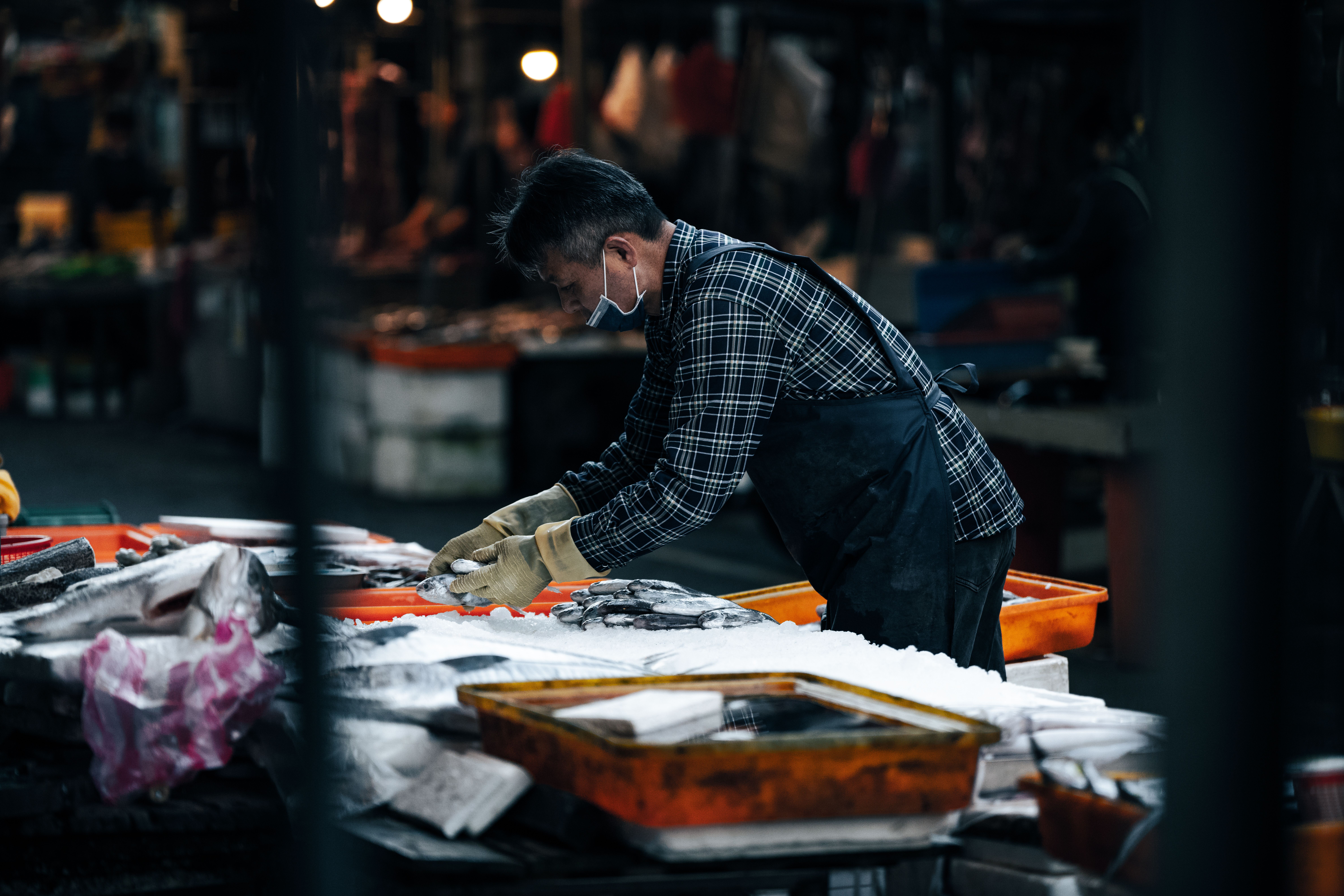 Man Selling Fishes on Market · Free Stock Photo