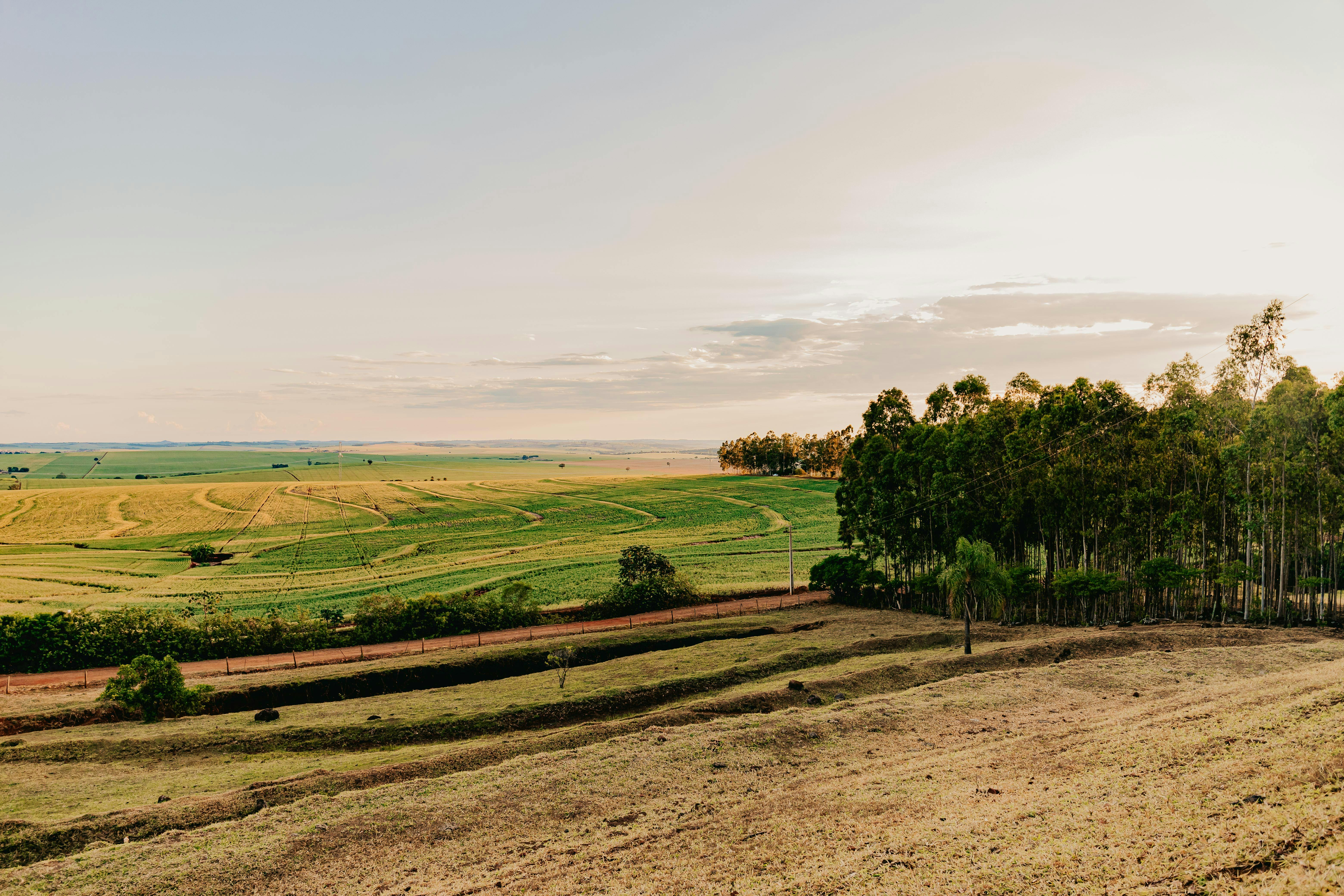 Landscape Photography of Field With Wind Mill With Rainbow · Free Stock ...