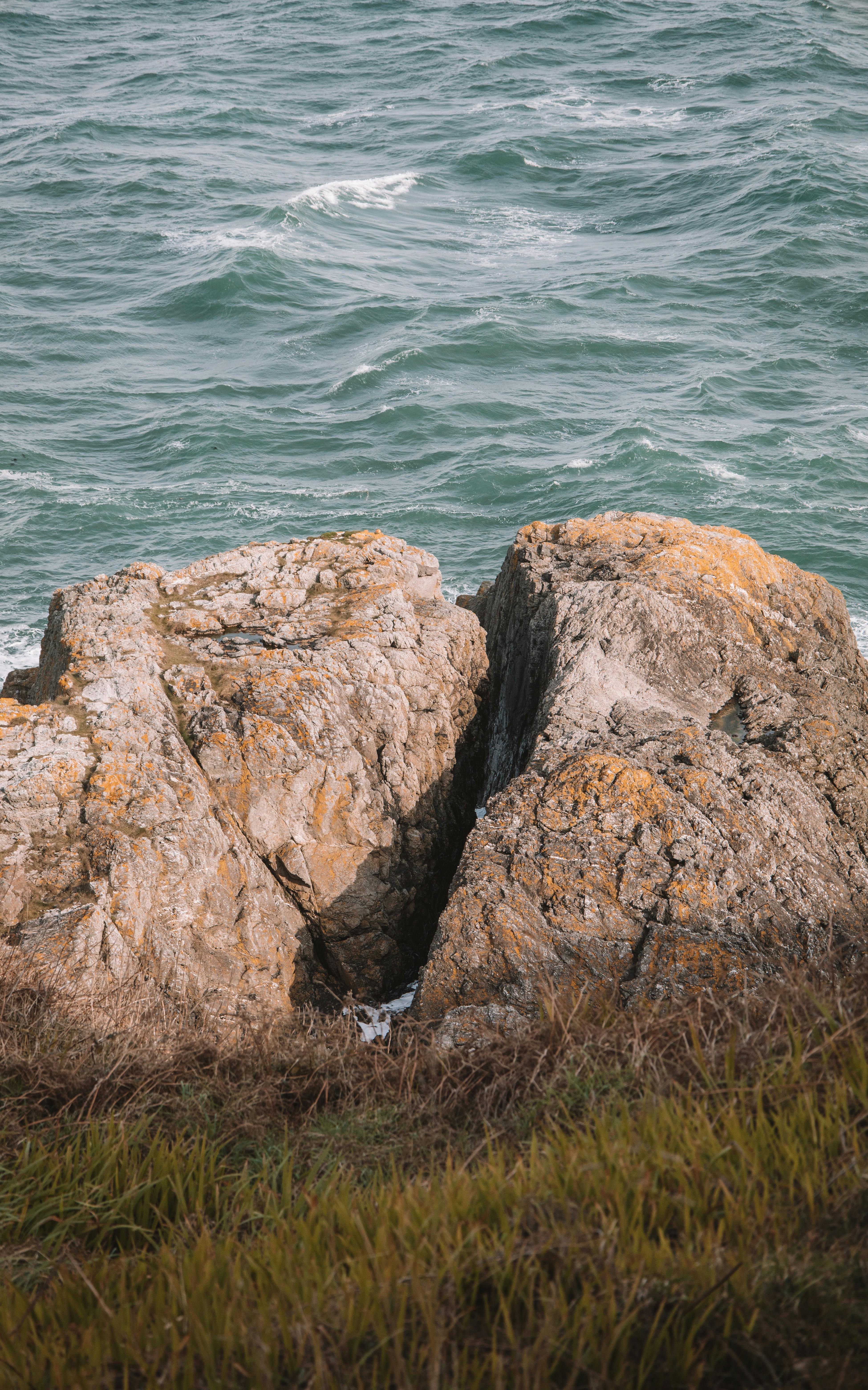 Rock on Seashore in Water · Free Stock Photo