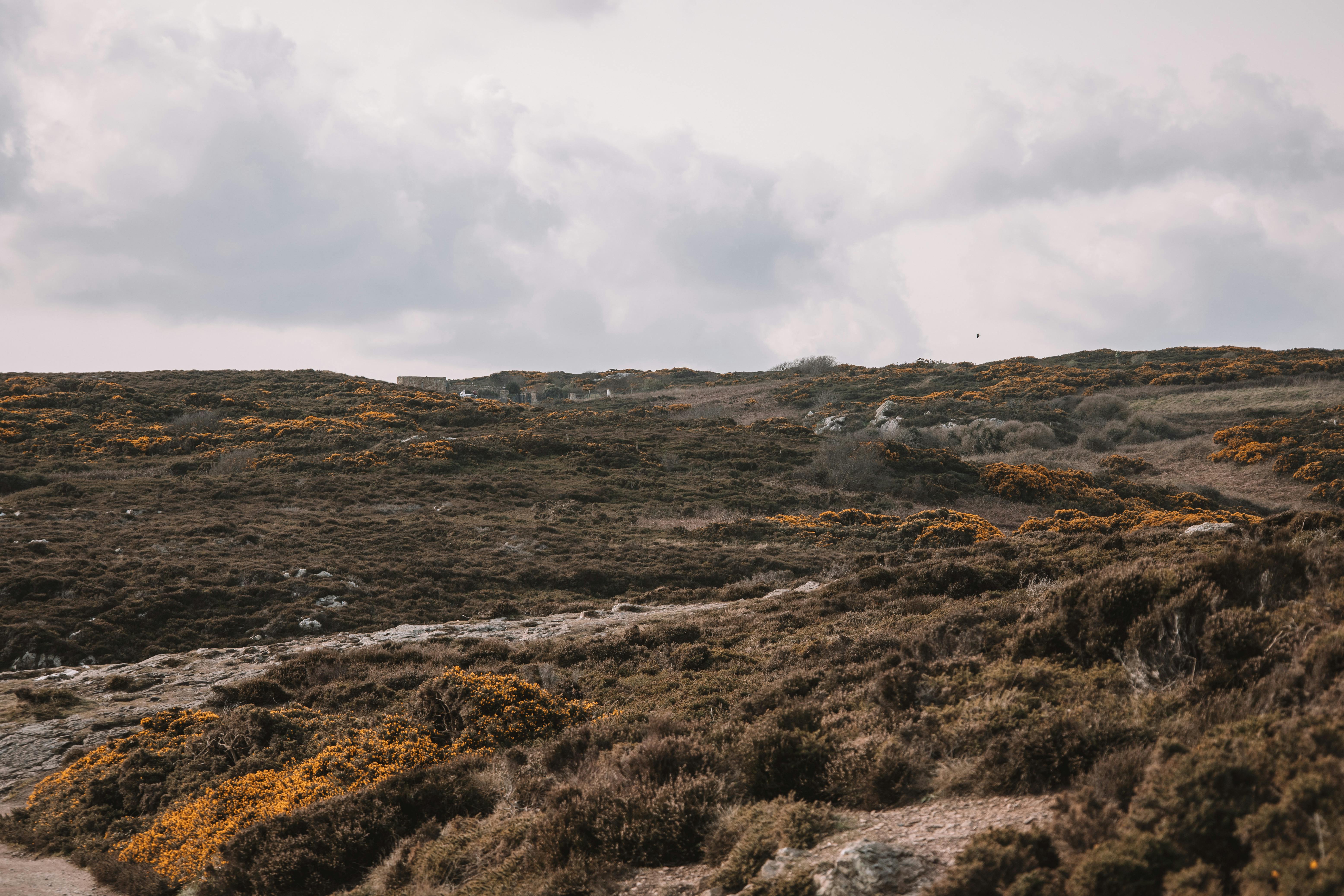 Wasteland in Wild Nature Landscape · Free Stock Photo