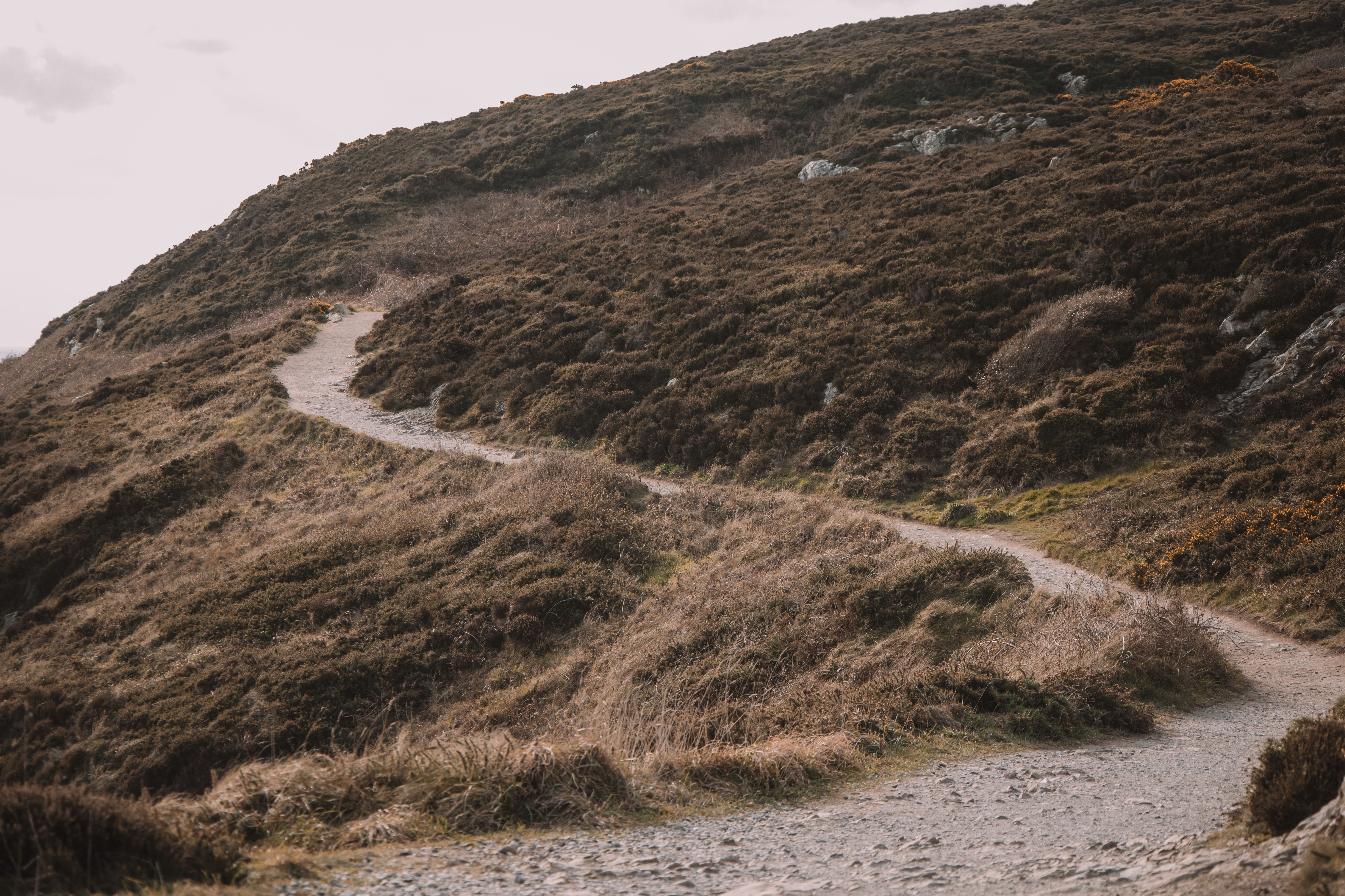 Rural Gravel Path · Free Stock Photo