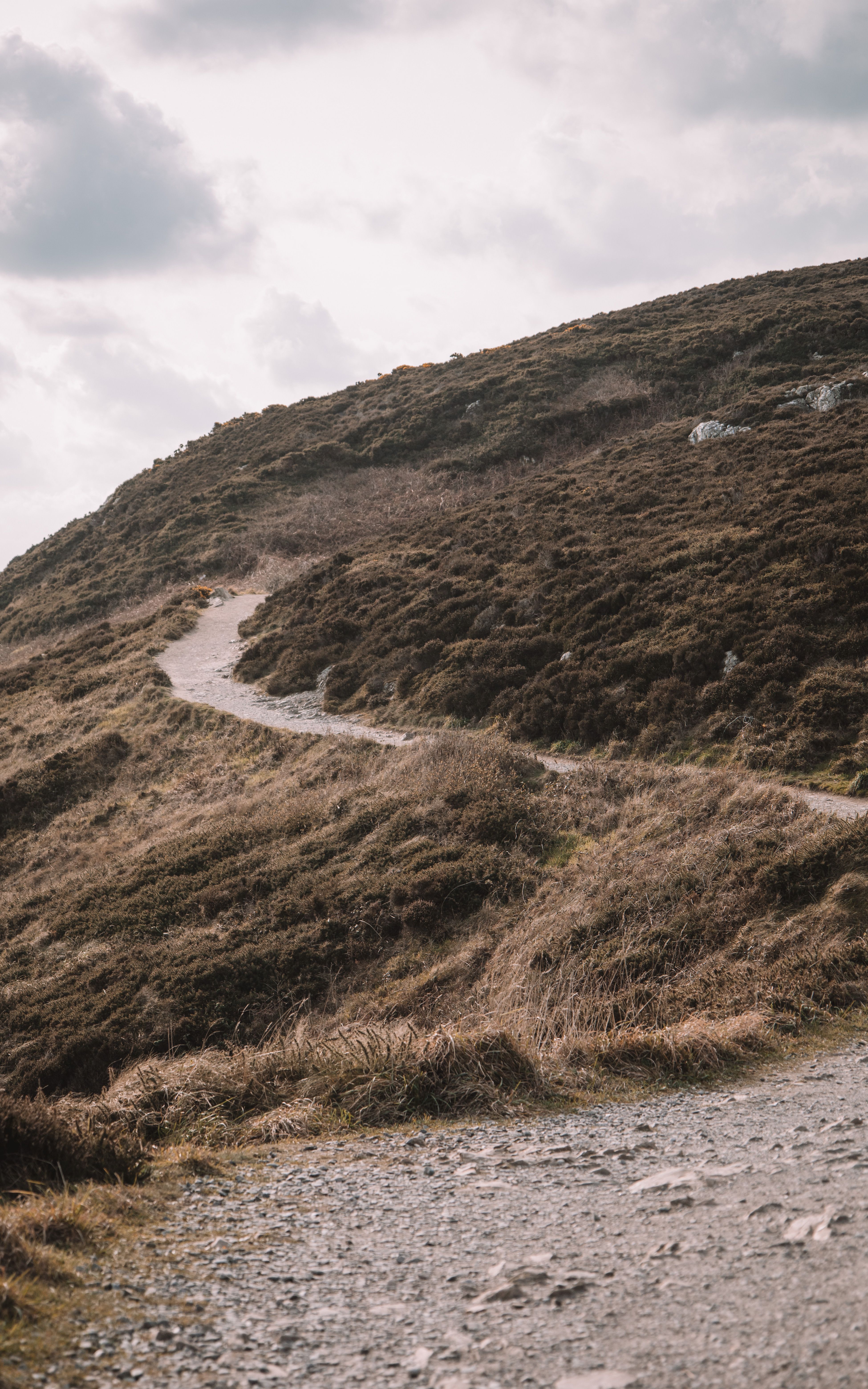 Path on Hill in Mountains Landscape · Free Stock Photo