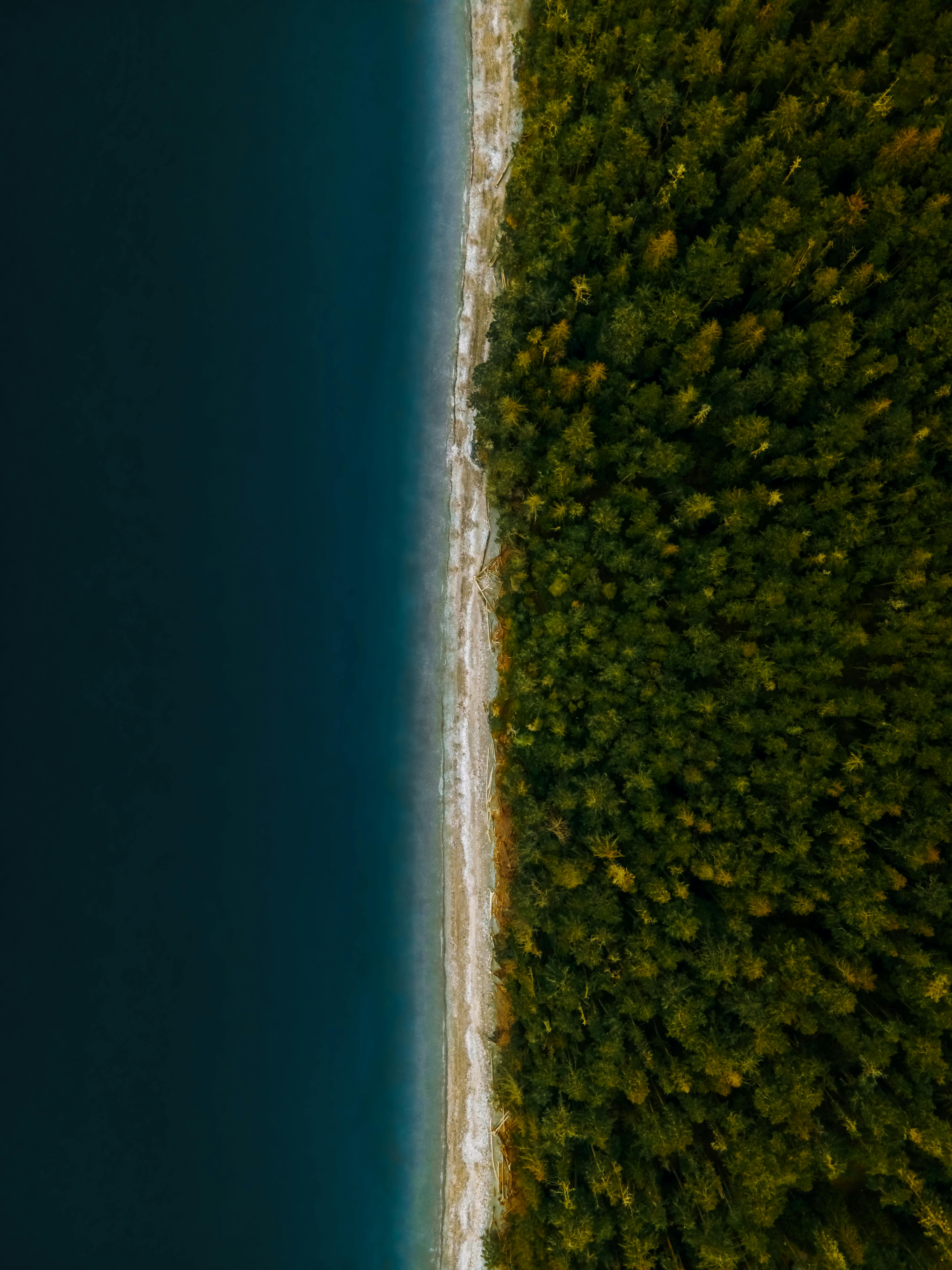 Top View Shot of Shoreline · Free Stock Photo