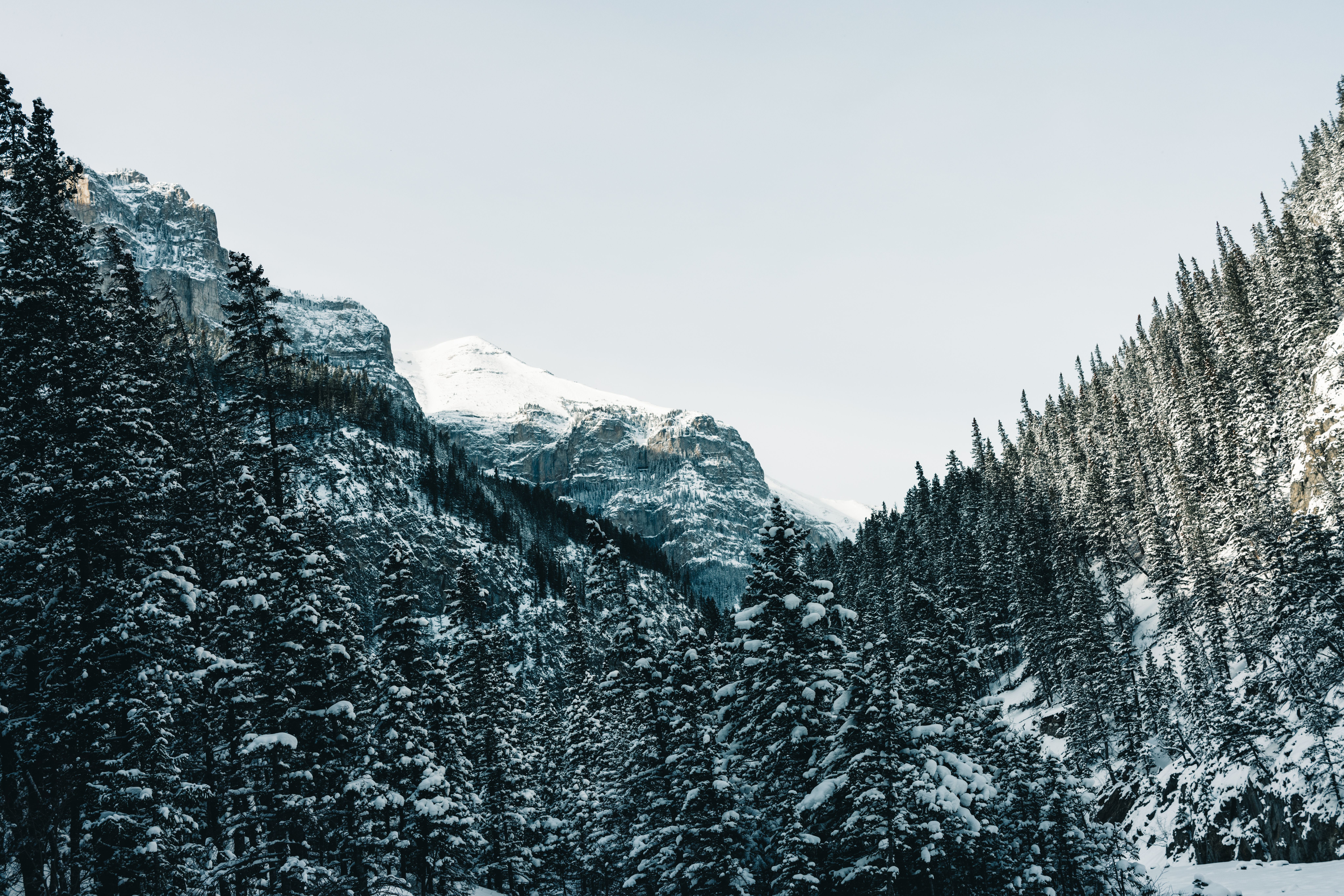 Hiking Grotto Canyon in winter · Free Stock Photo