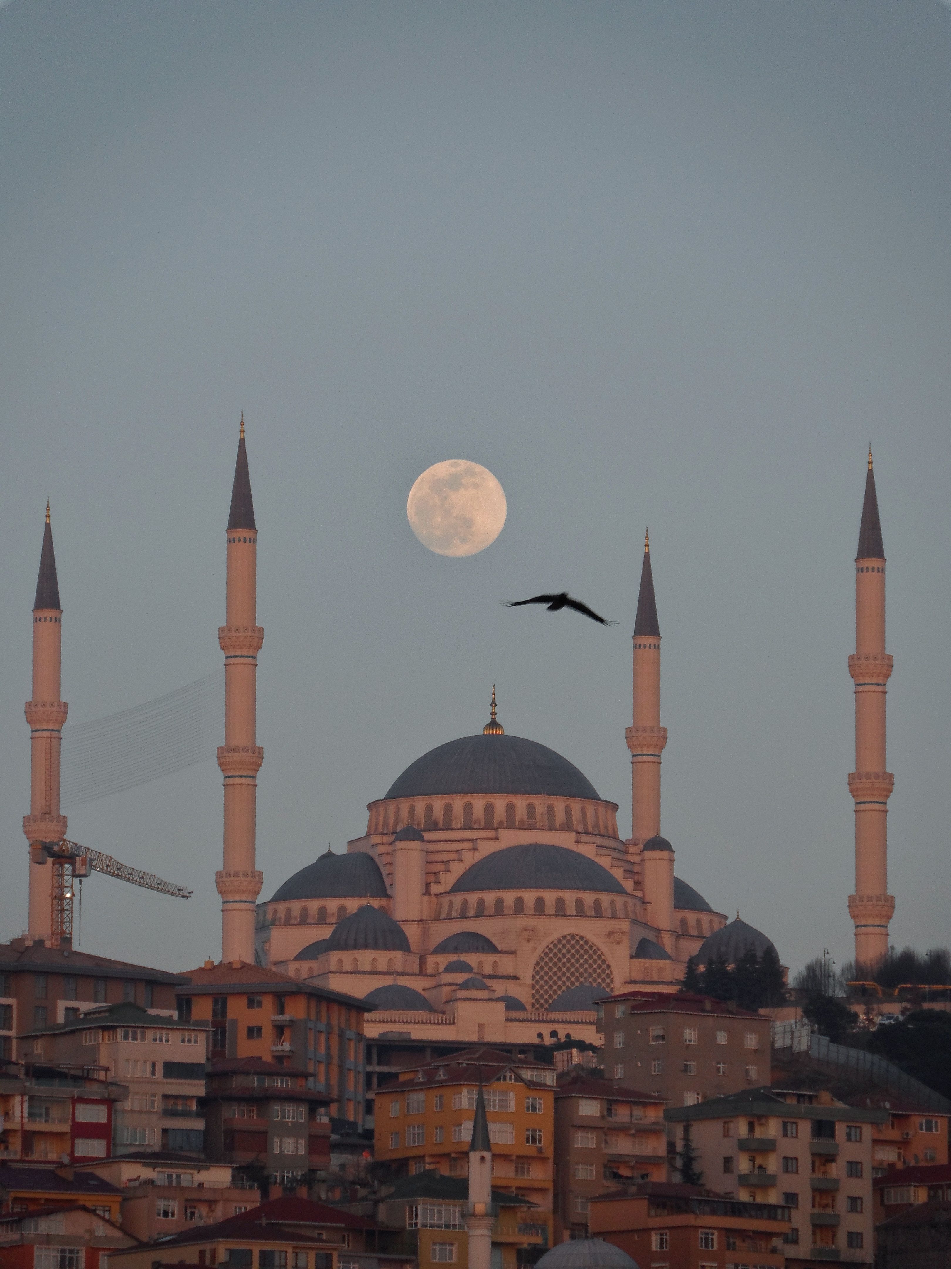 Full Moon over Mosque · Free Stock Photo
