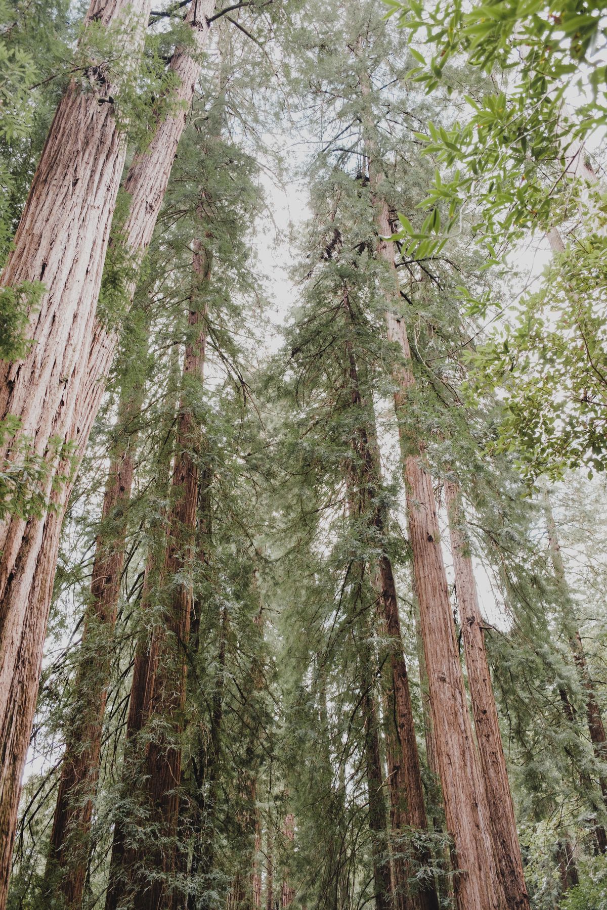 Deep Images Photos, Download The BEST Free Deep Images Stock Photos ...