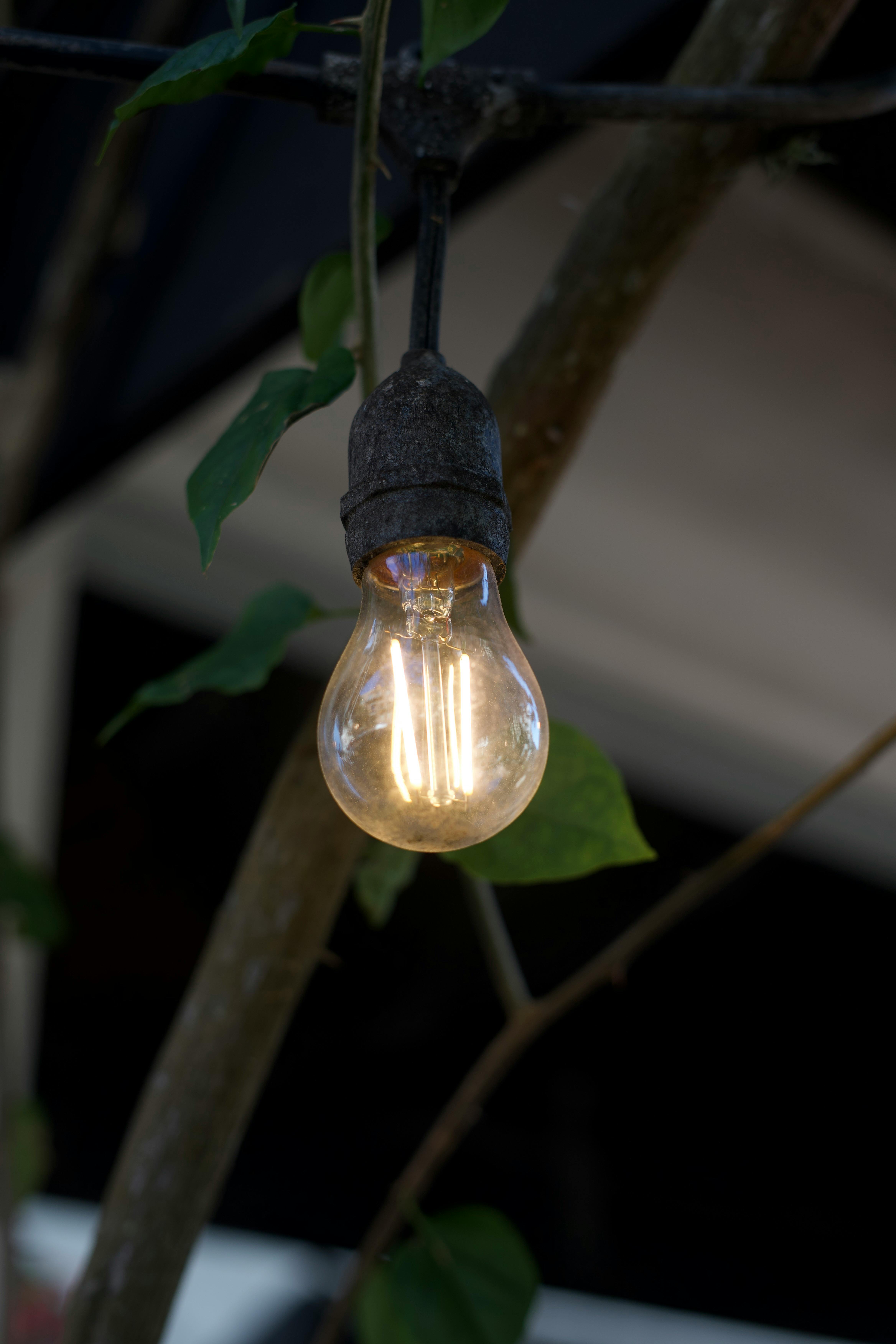 Close-up of a Light Bulb on a String Hanging in the Garden · Free Stock ...