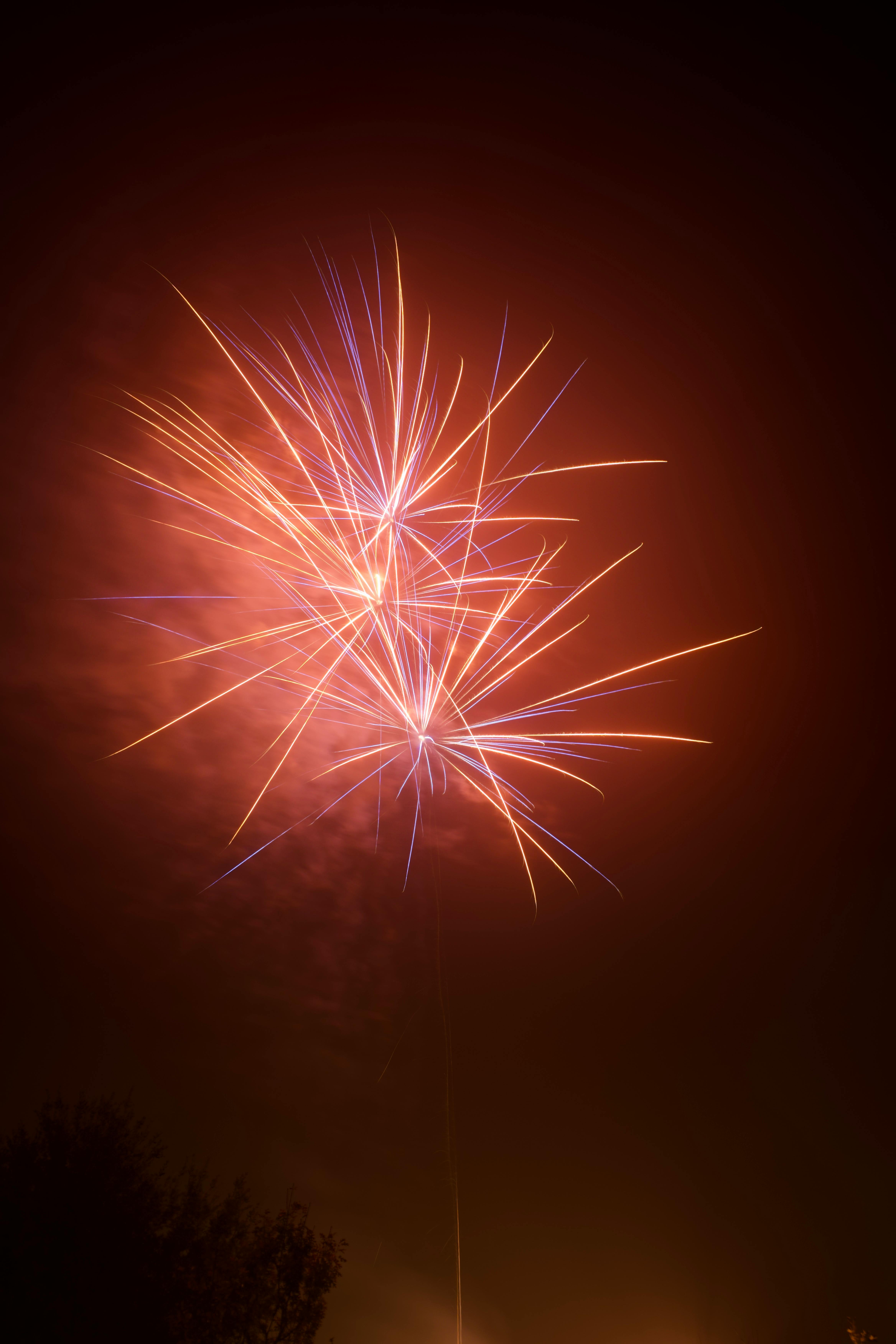 View of Red Fireworks Exploding against Night Sky · Free Stock Photo