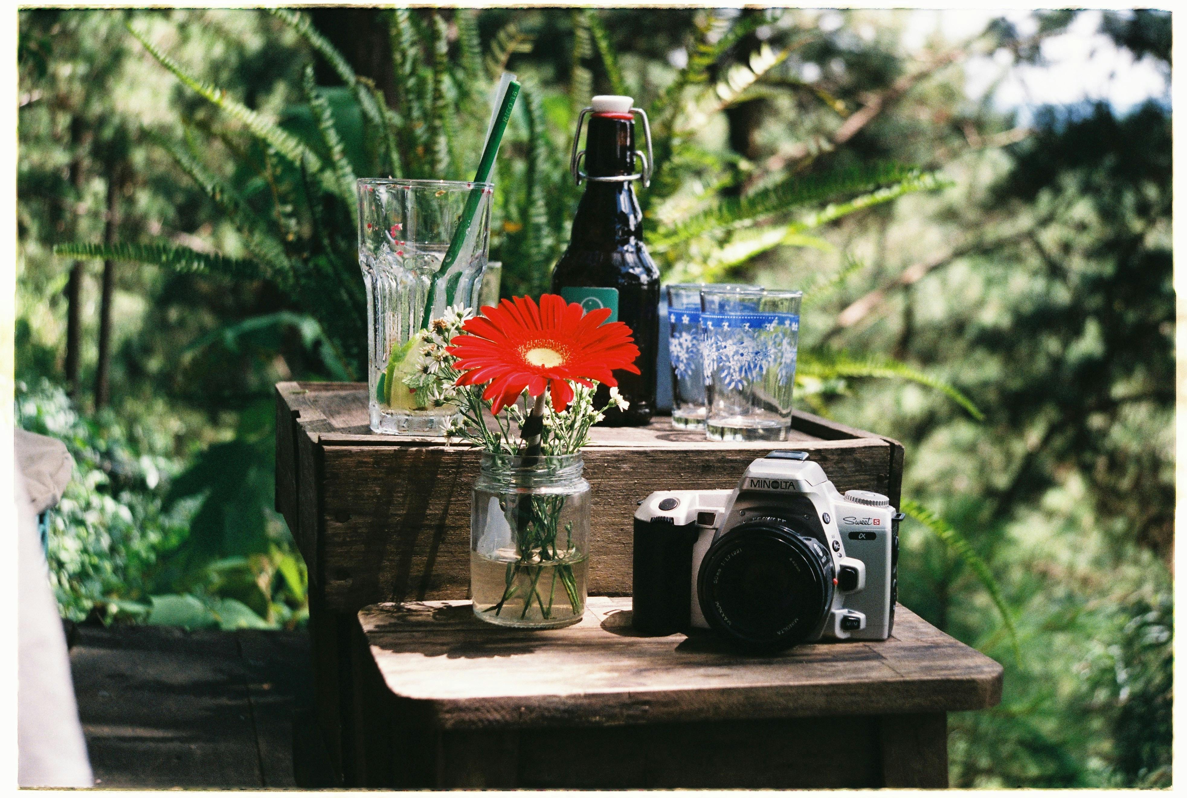 Camera Bouquet of Wildflowers Beer and Glasses · Free Stock Photo