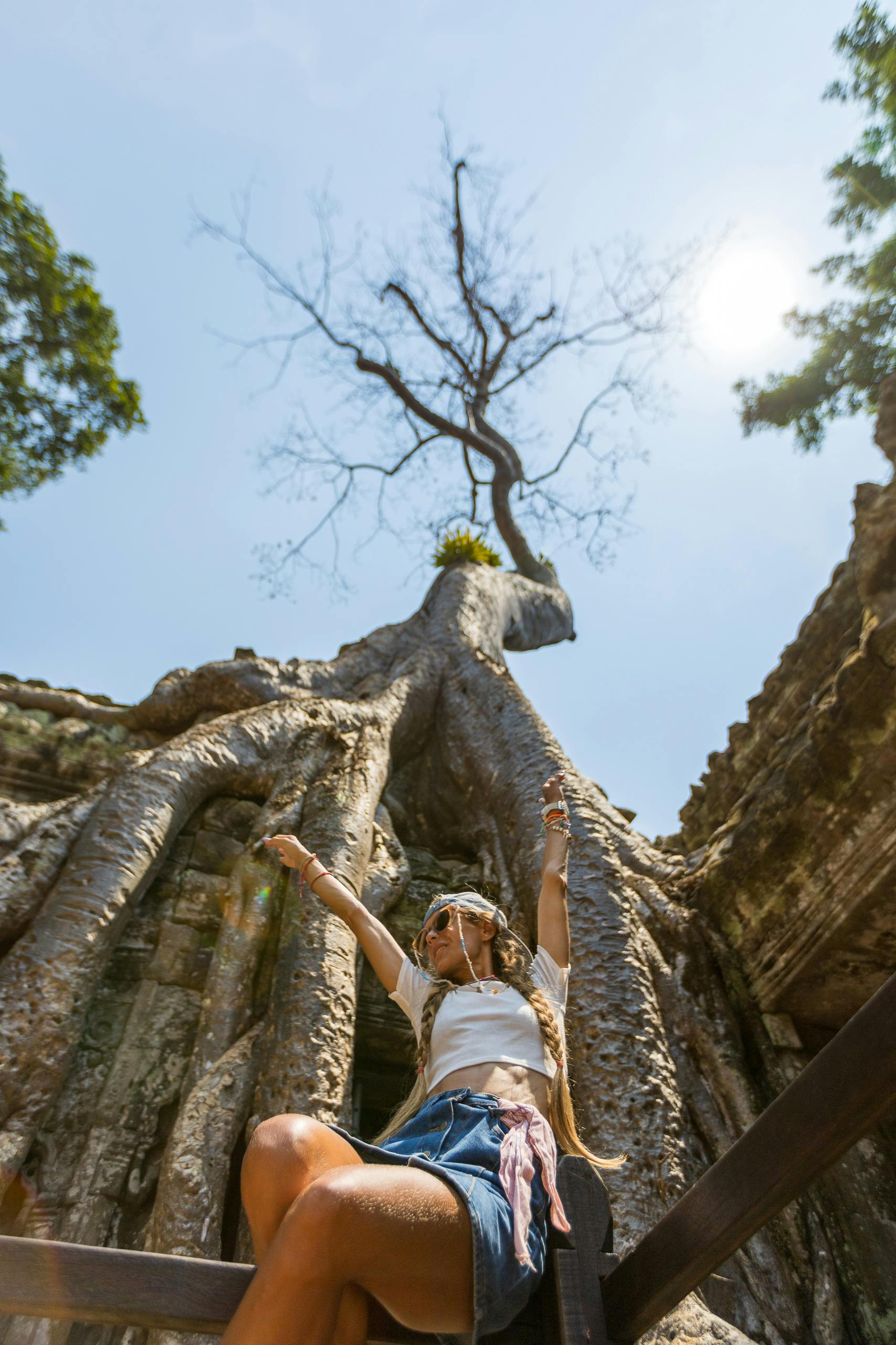 Ta Prohm Temple Photos, Download The BEST Free Ta Prohm Temple Stock ...