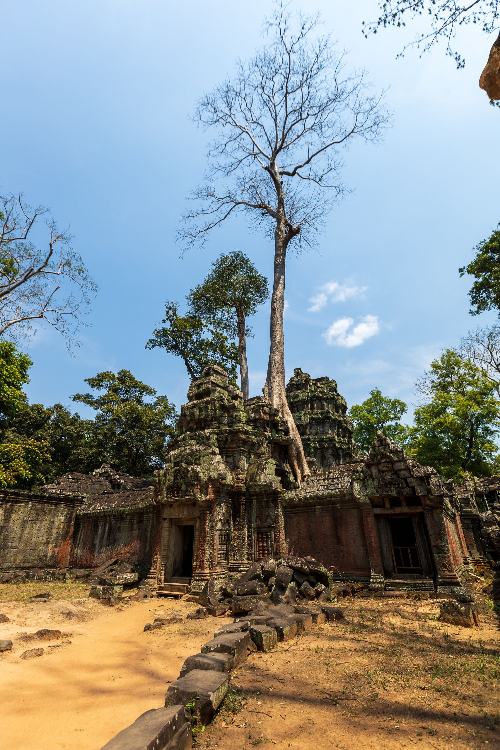 Clear Sky over Trees in Ancient Ruins · Free Stock Photo