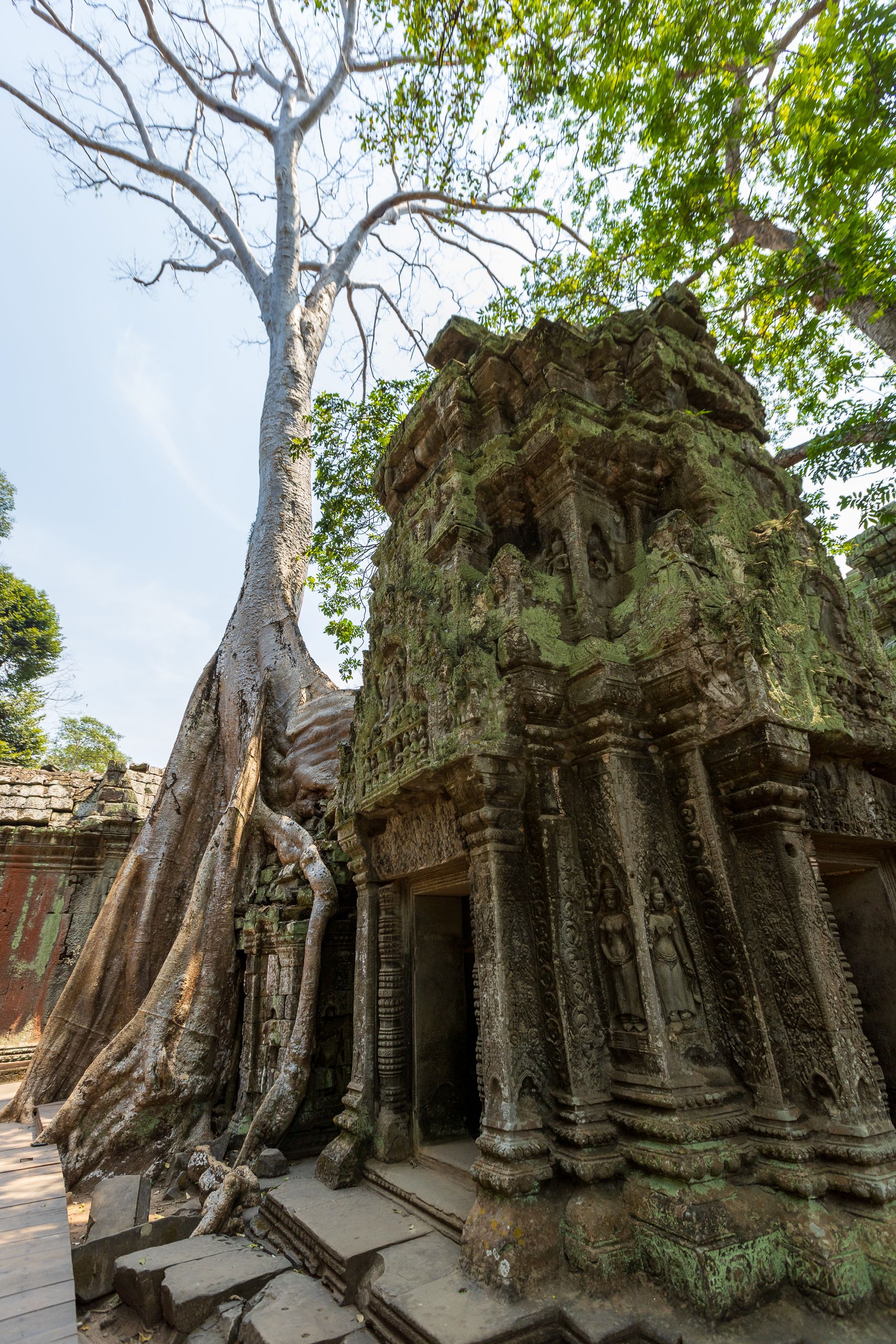 Building With Tree · Free Stock Photo