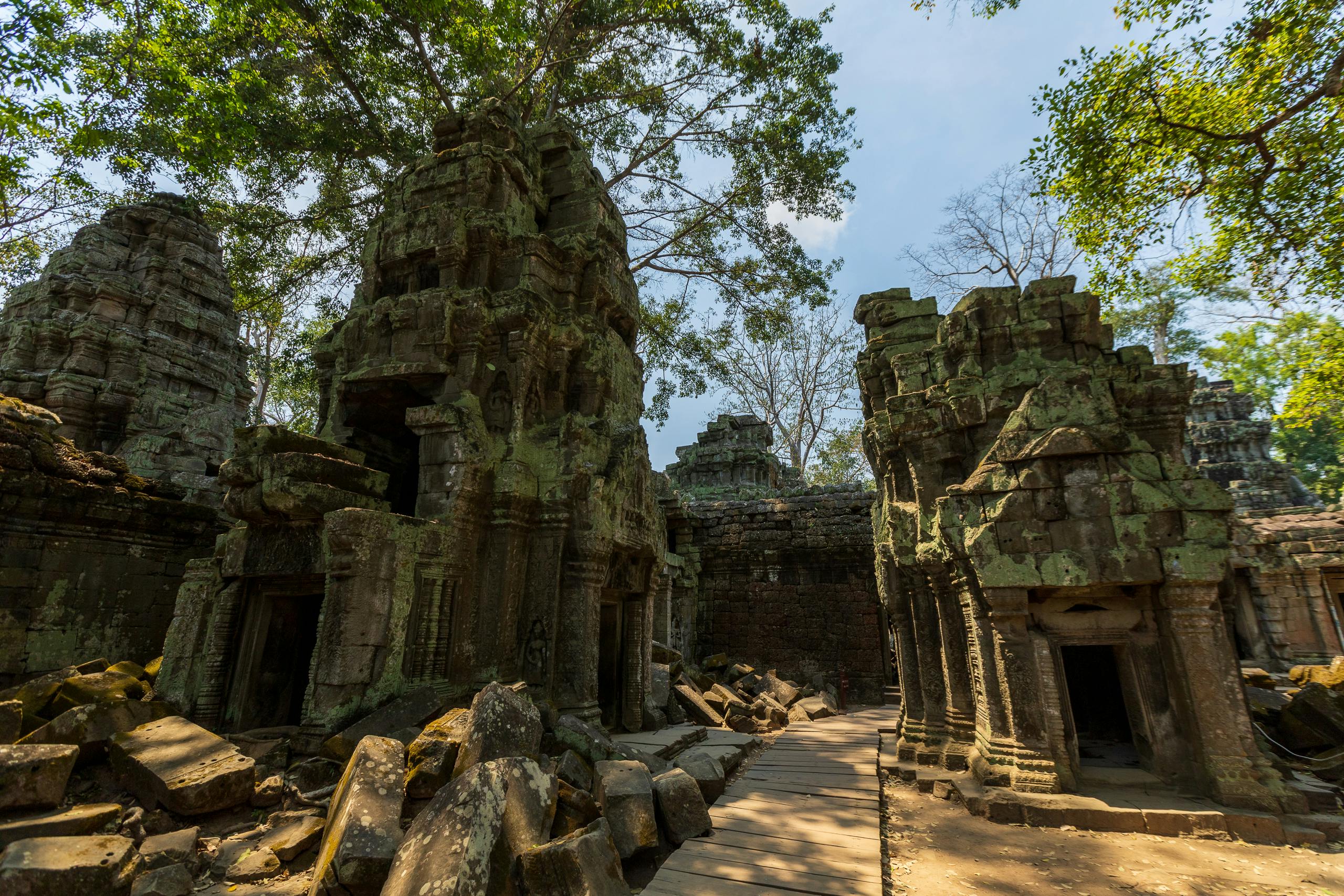 Building and Trees in Ruins · Free Stock Photo