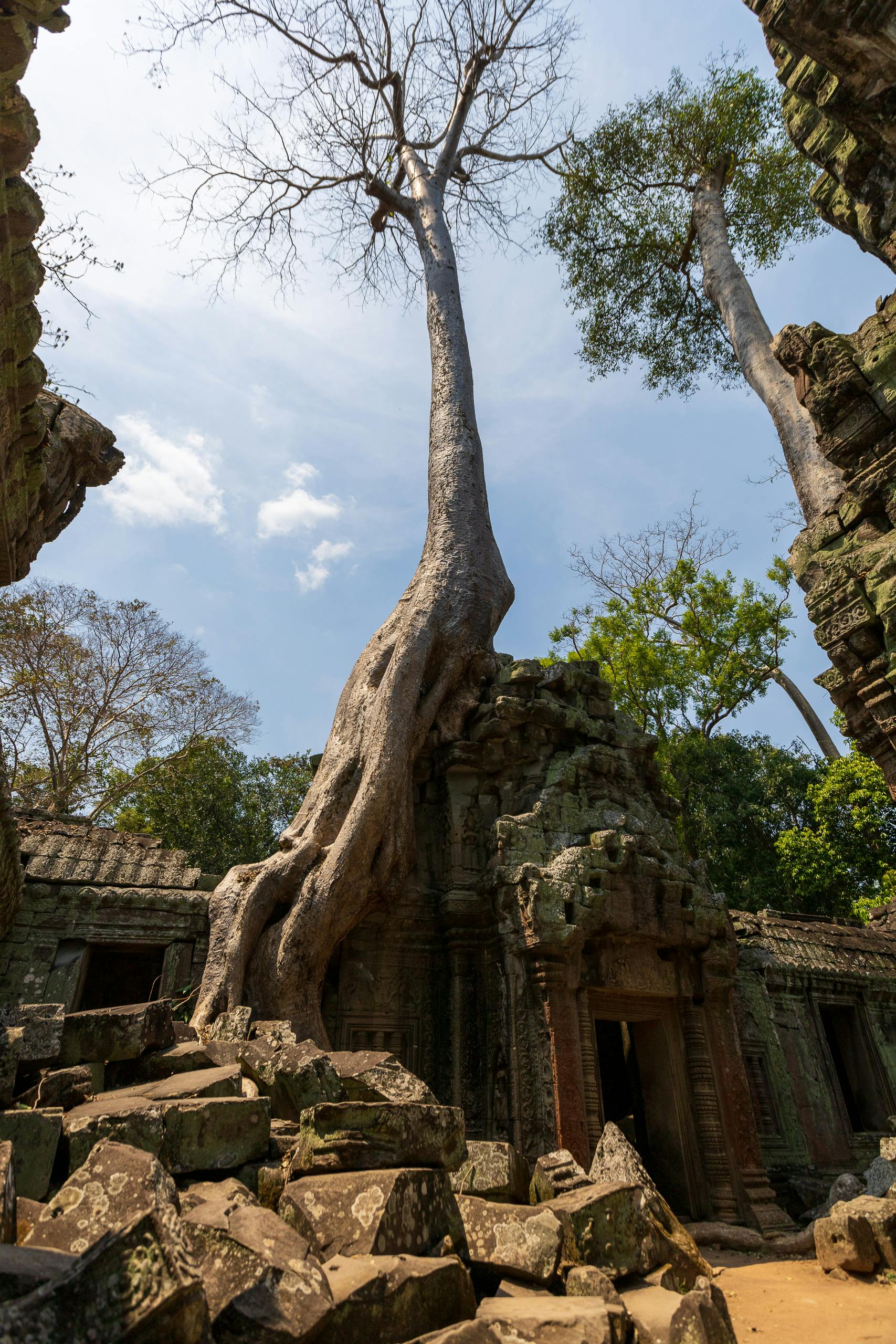 Ancient Ruins with Trees around · Free Stock Photo