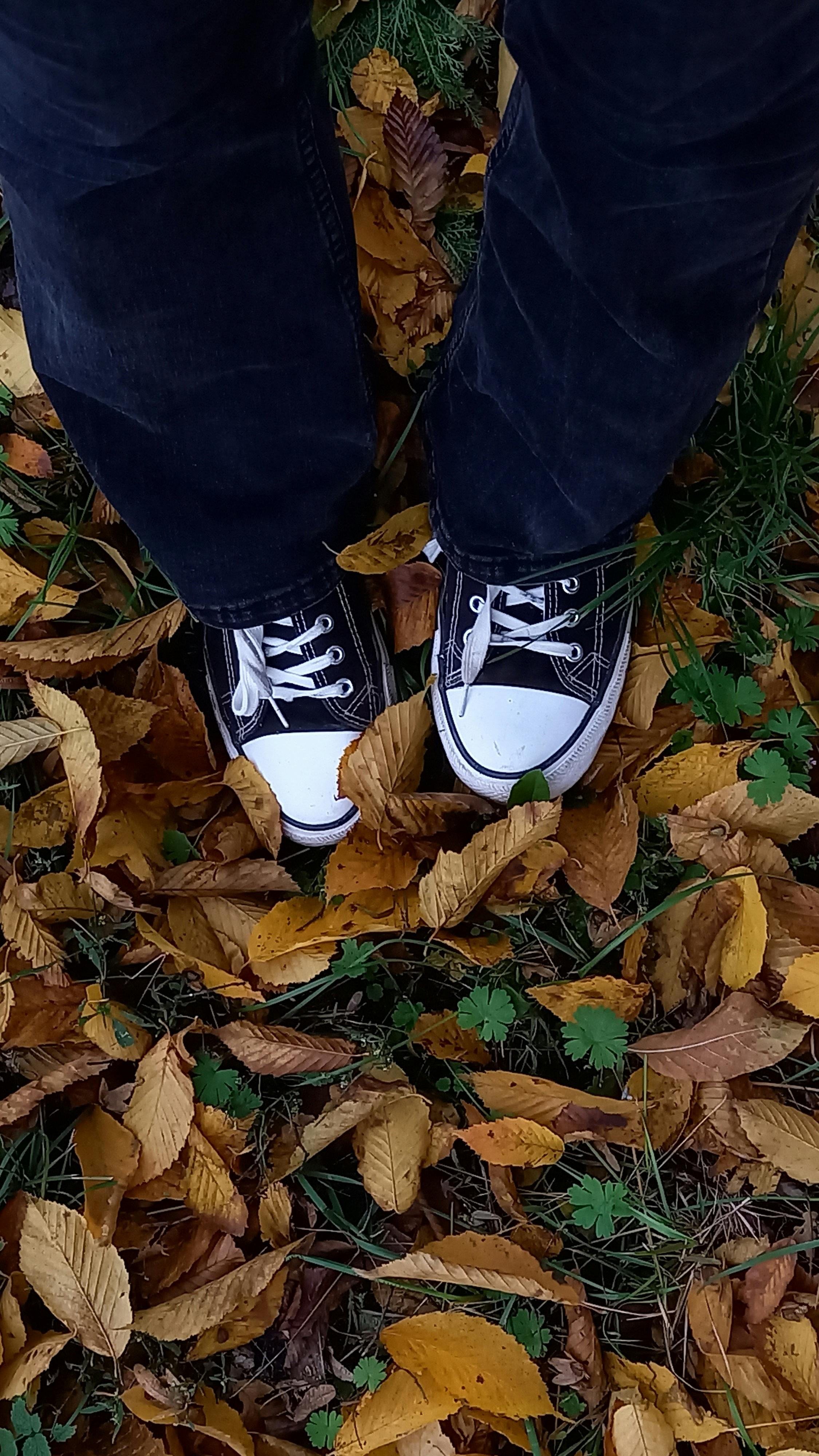 Person Legs in Footwear on Autumn Ground · Free Stock Photo