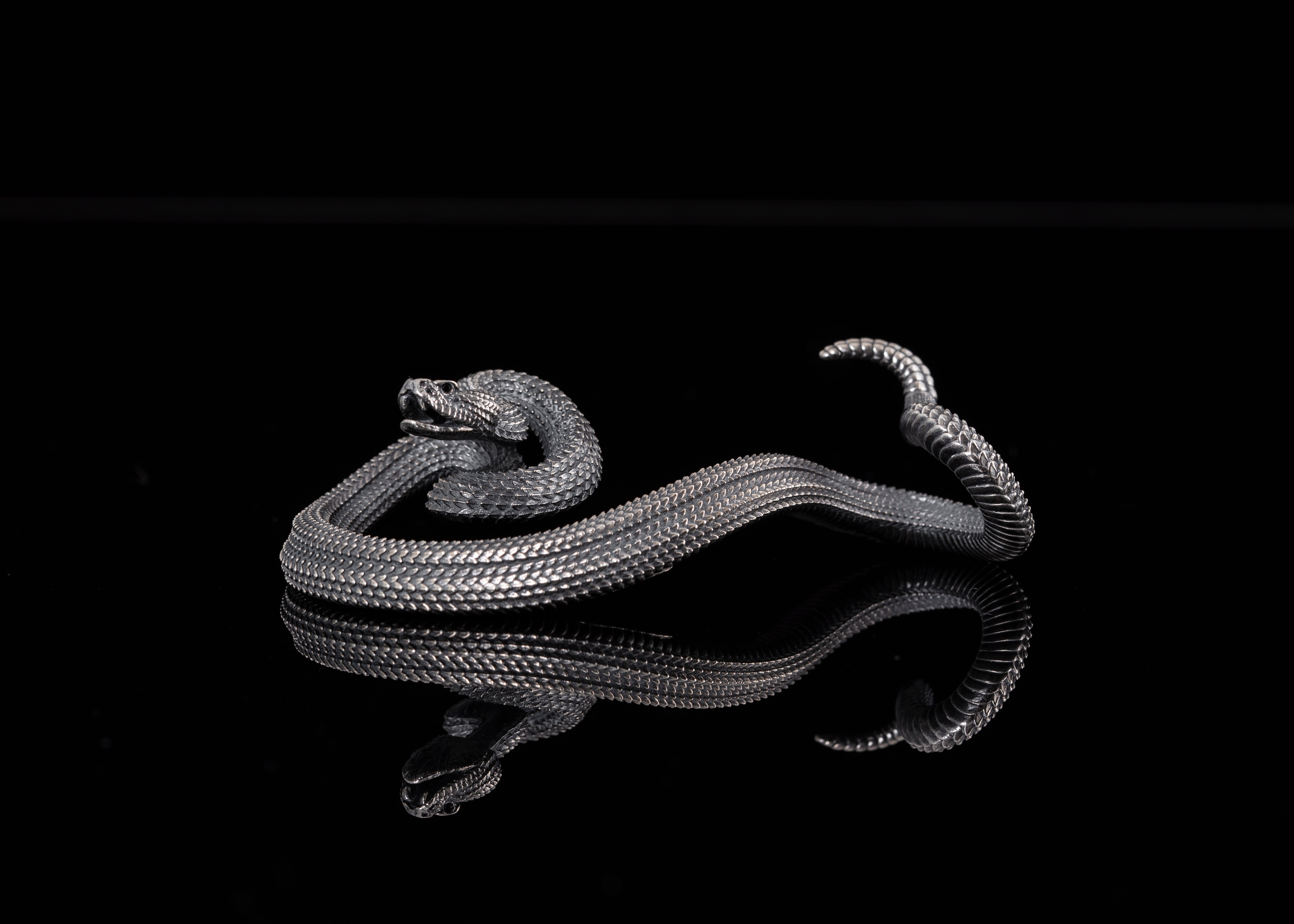 Silver, Handmade Snake on Black Background · Free Stock Photo