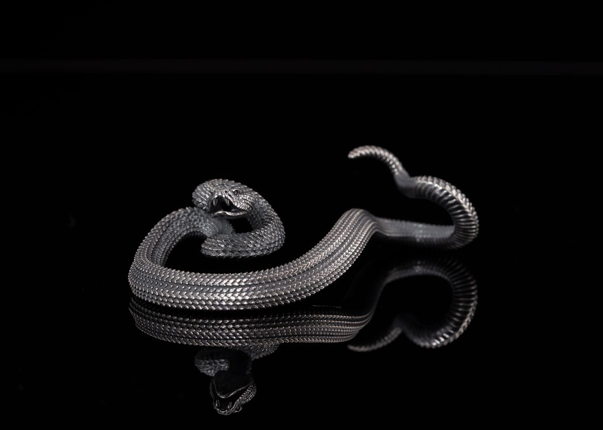 Black Snakes in North America: Types and Their Role