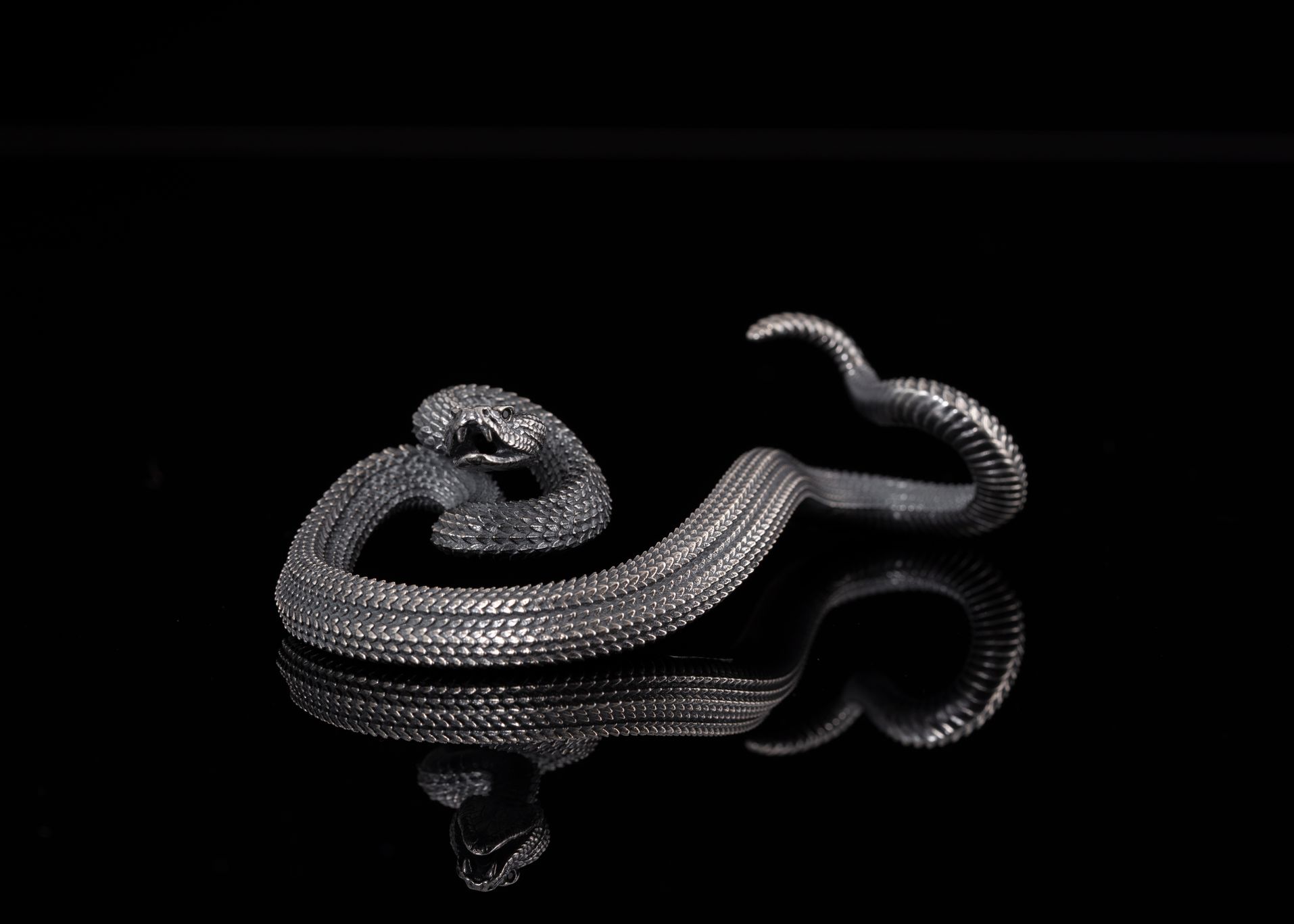 Black Snakes in North America: Types and Their Role