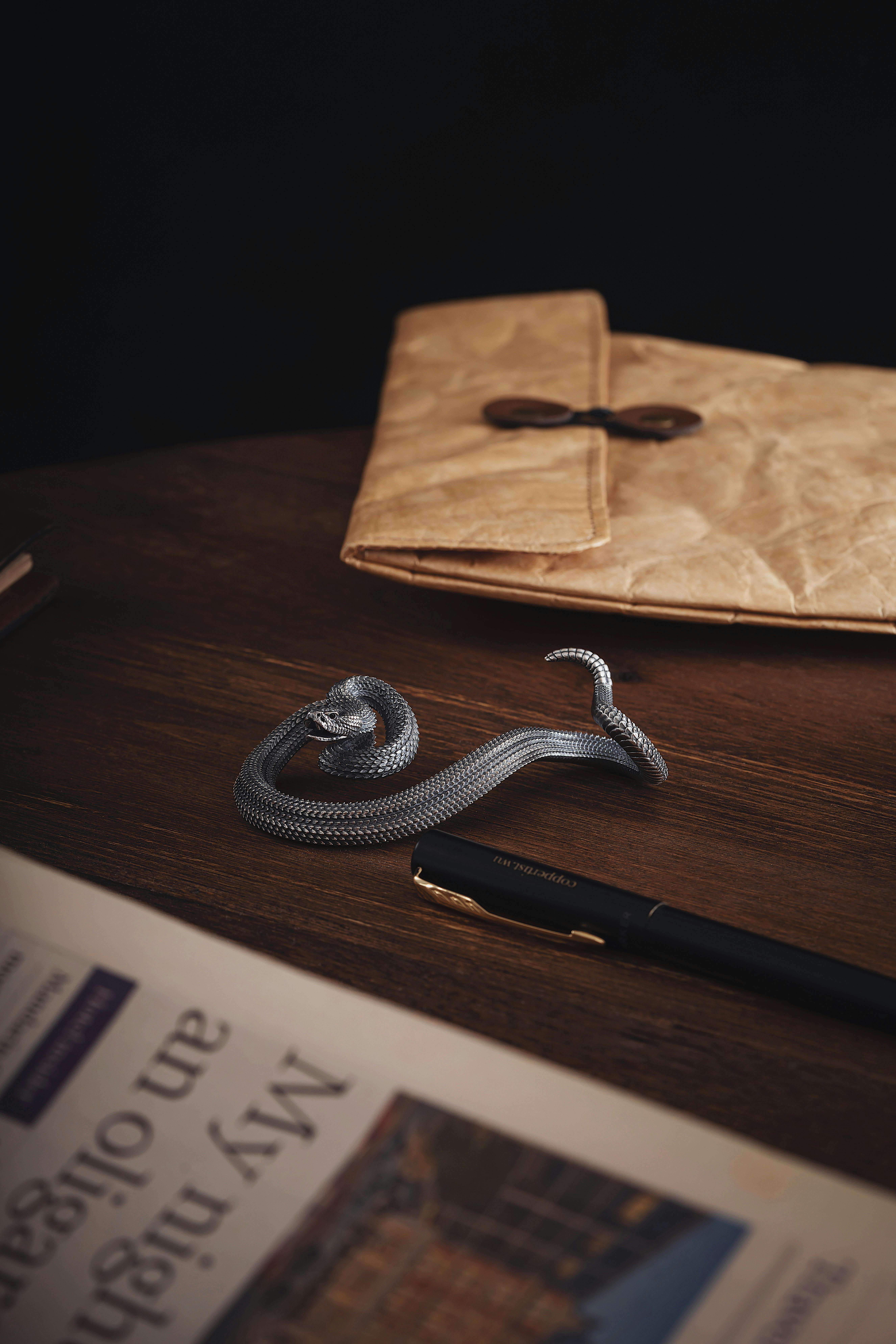 Snake Pen Holder on Desk · Free Stock Photo