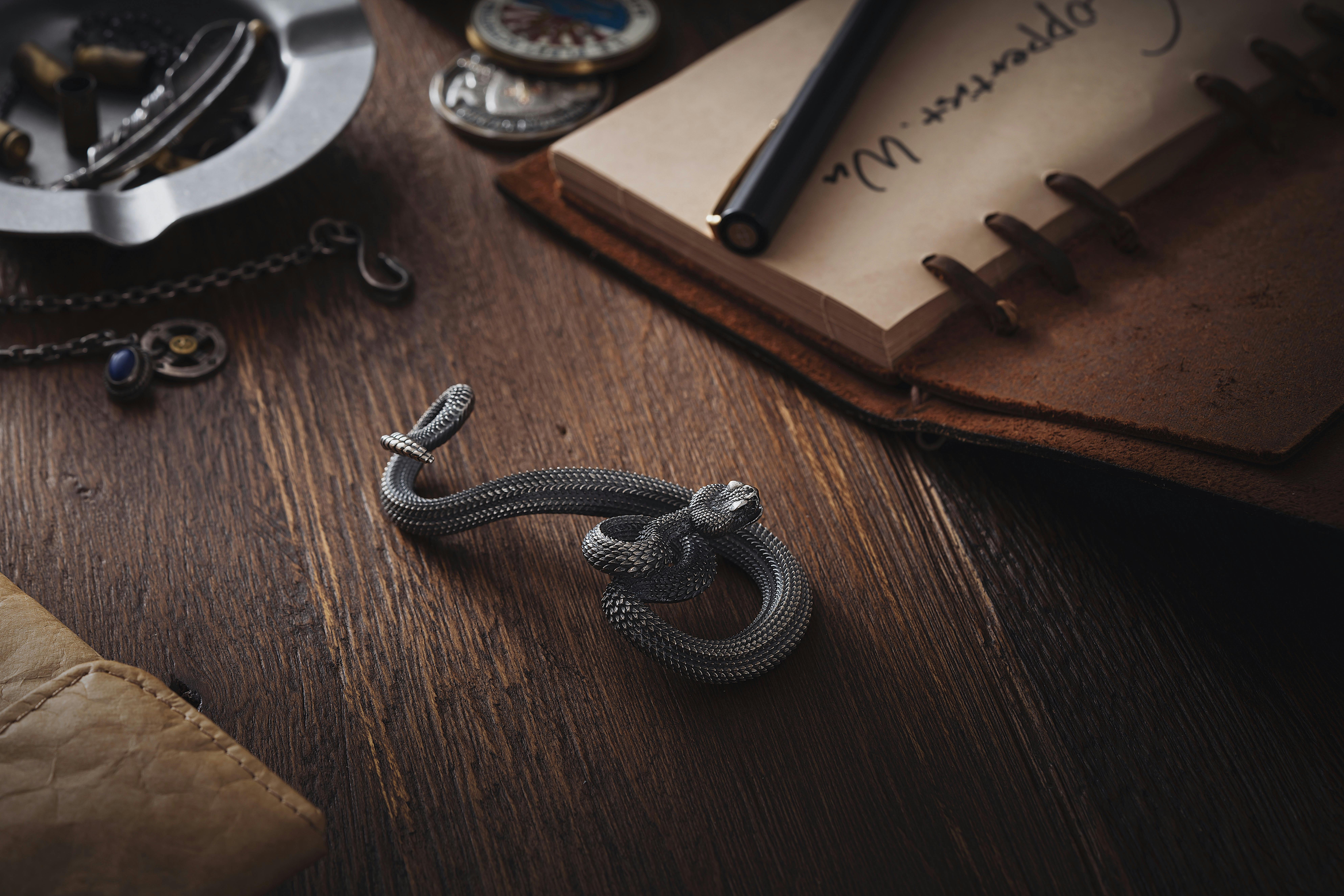 Silver Snake and Notepad · Free Stock Photo